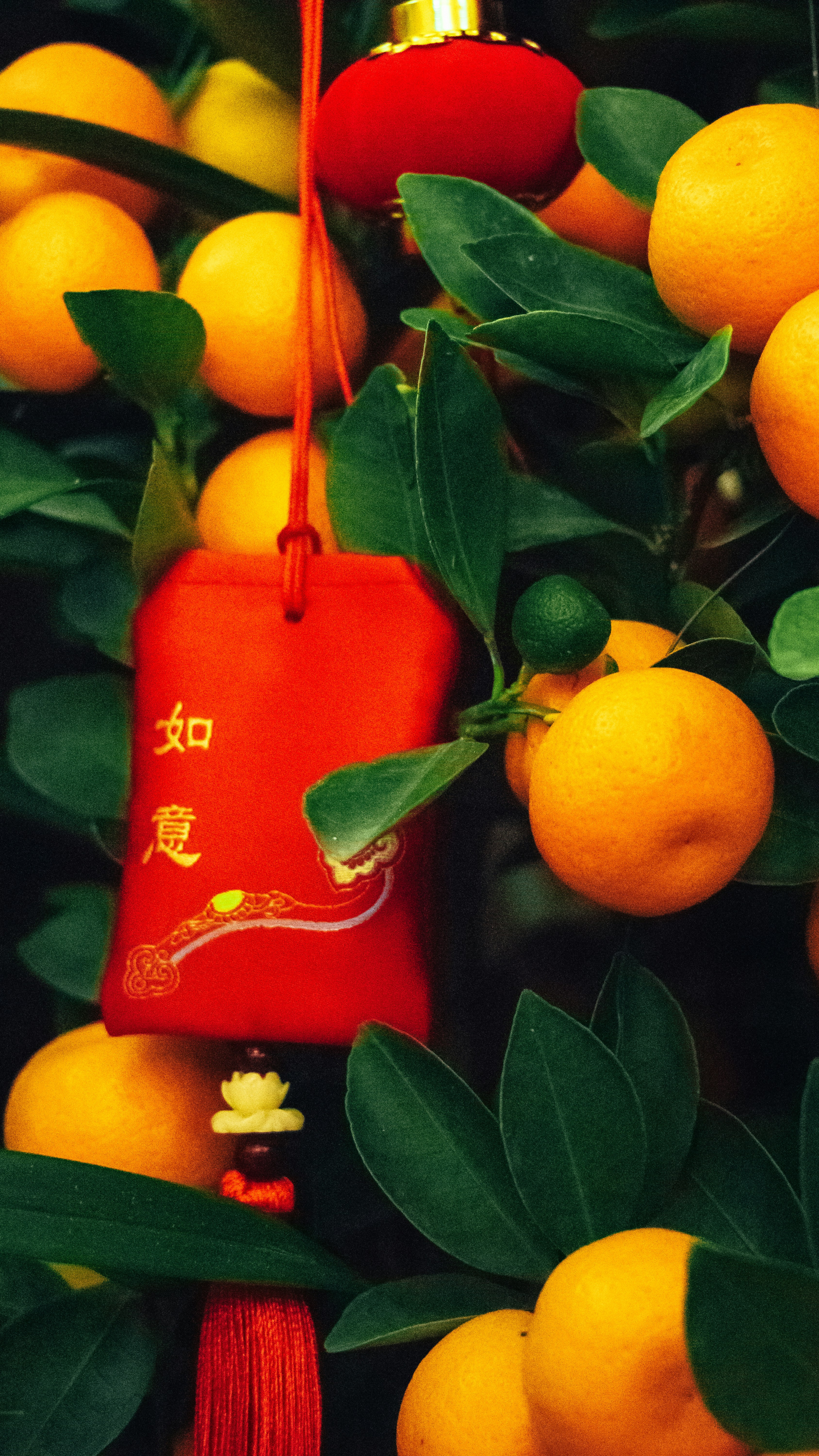 Happy Chinese New Year