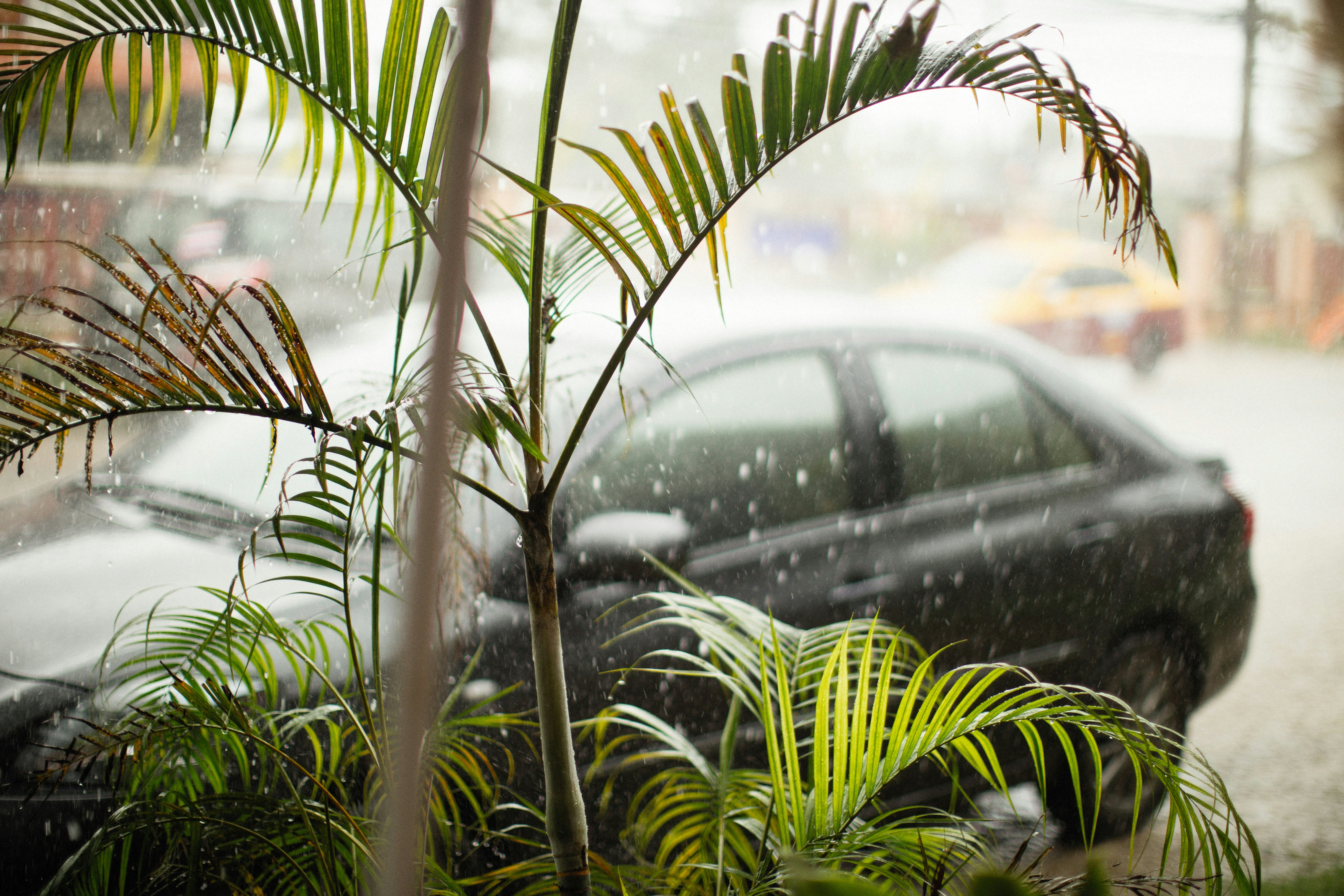 Foto zum Thema Ein Auto, das im Regen am Straßenrand geparkt ist ...