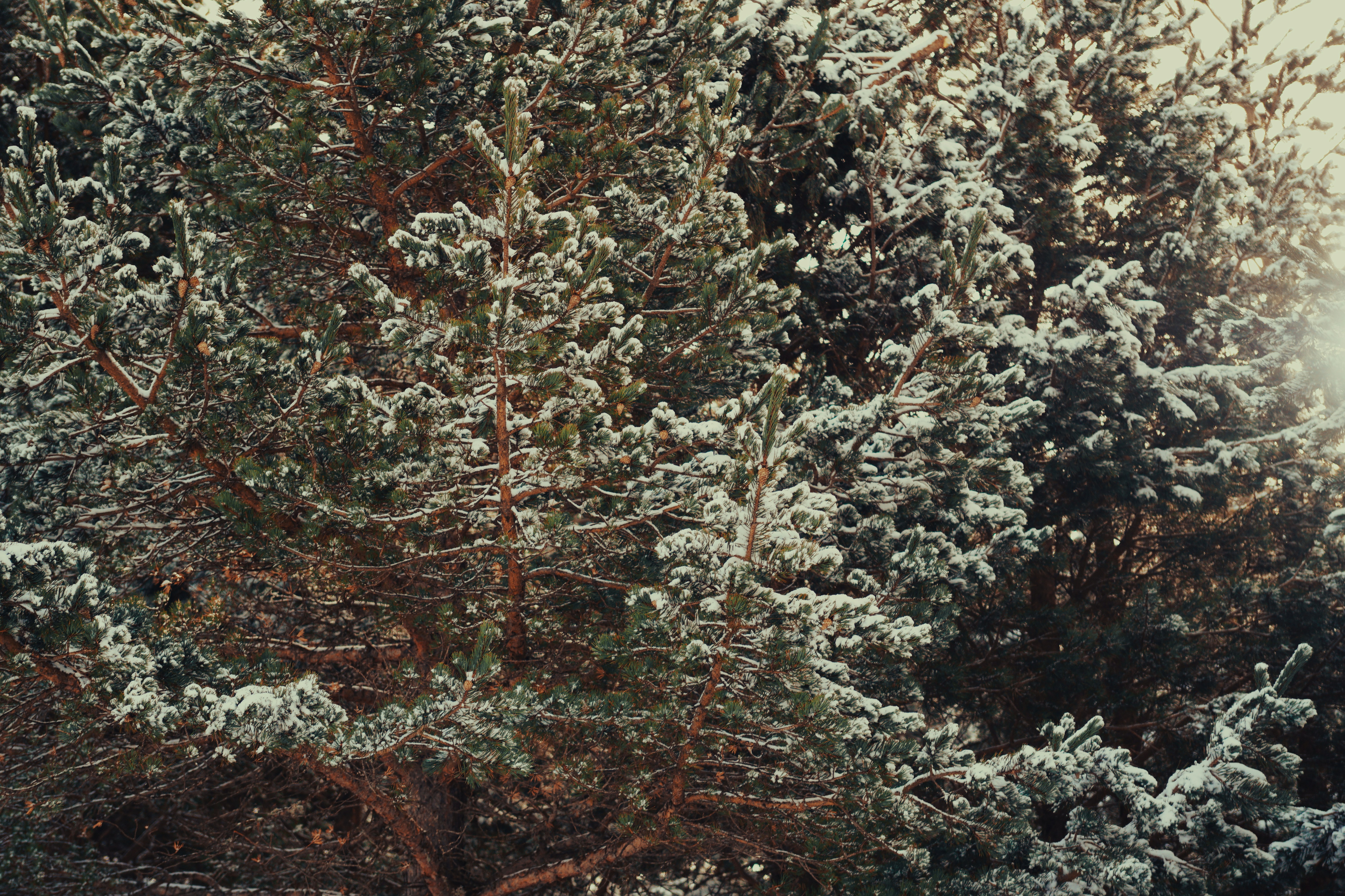 Photo by Erwan Hesry with Sony Alpha 6300