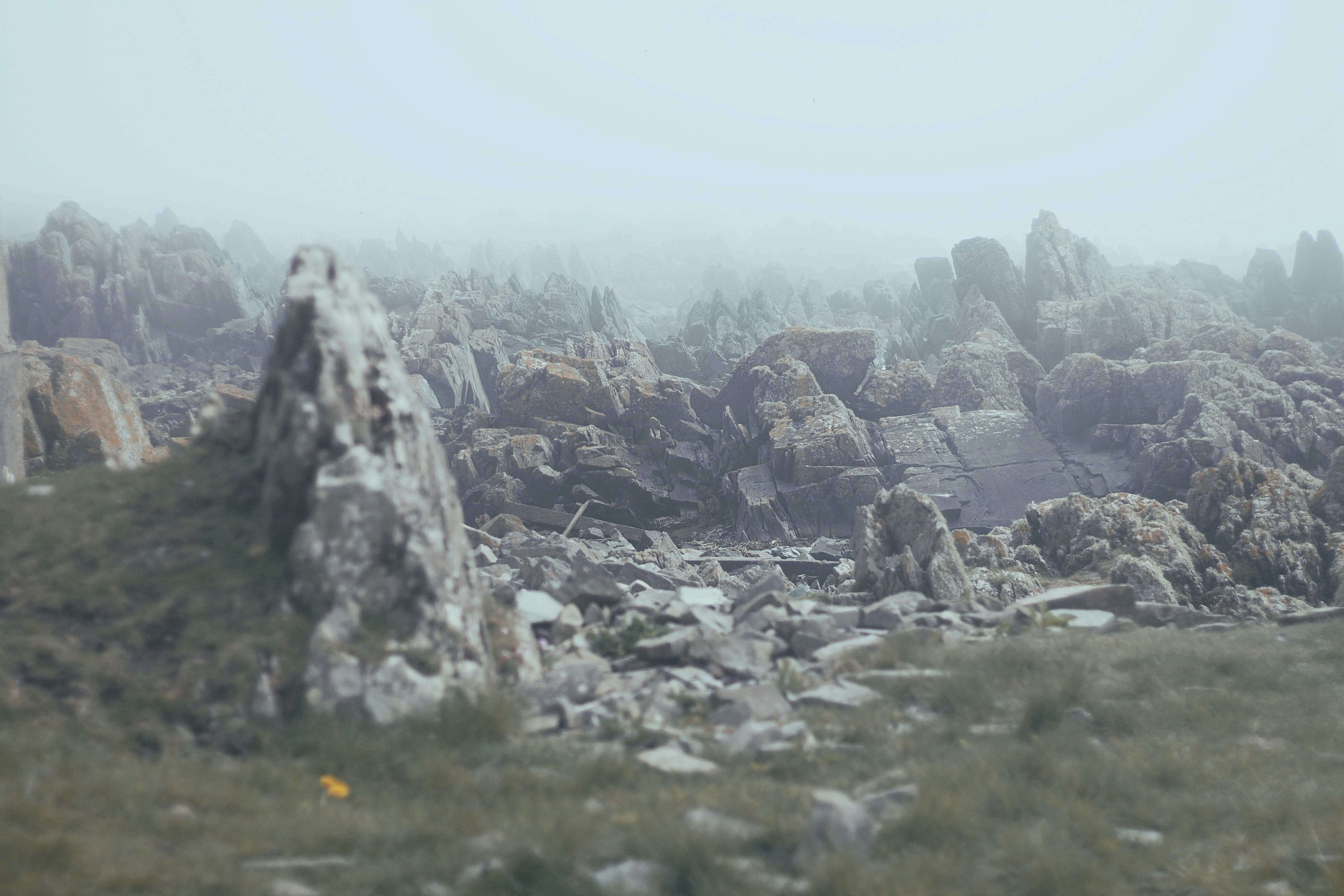 A bunch of rocks that are in the grass photo – Free Clogherhead Image ...