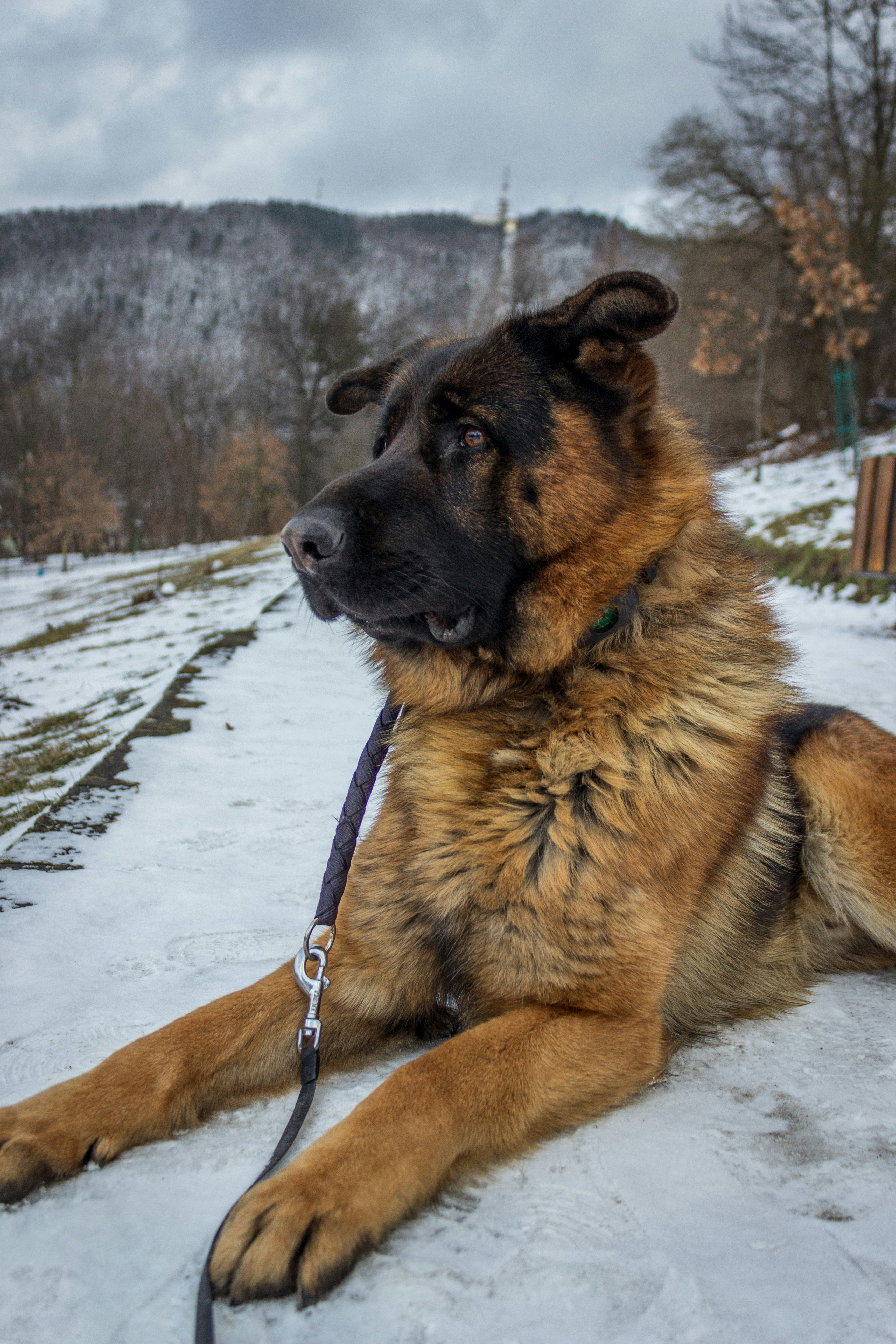 Șerban Dominic (@dominic_sebastian) | Komunitas Foto Unsplash