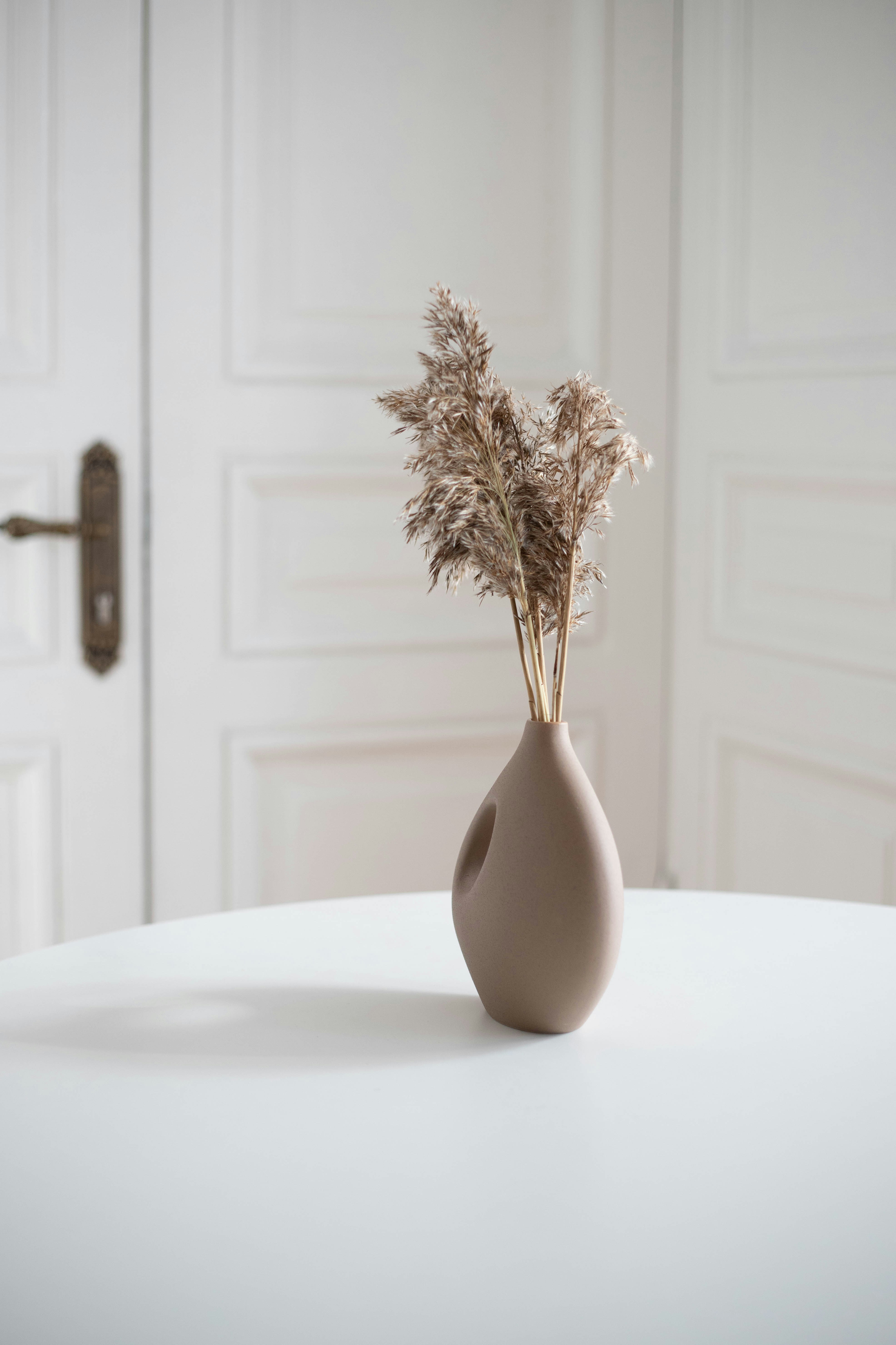 Quiet Geometry: Dried Plumes in a Taupe Vase Against White Interiors