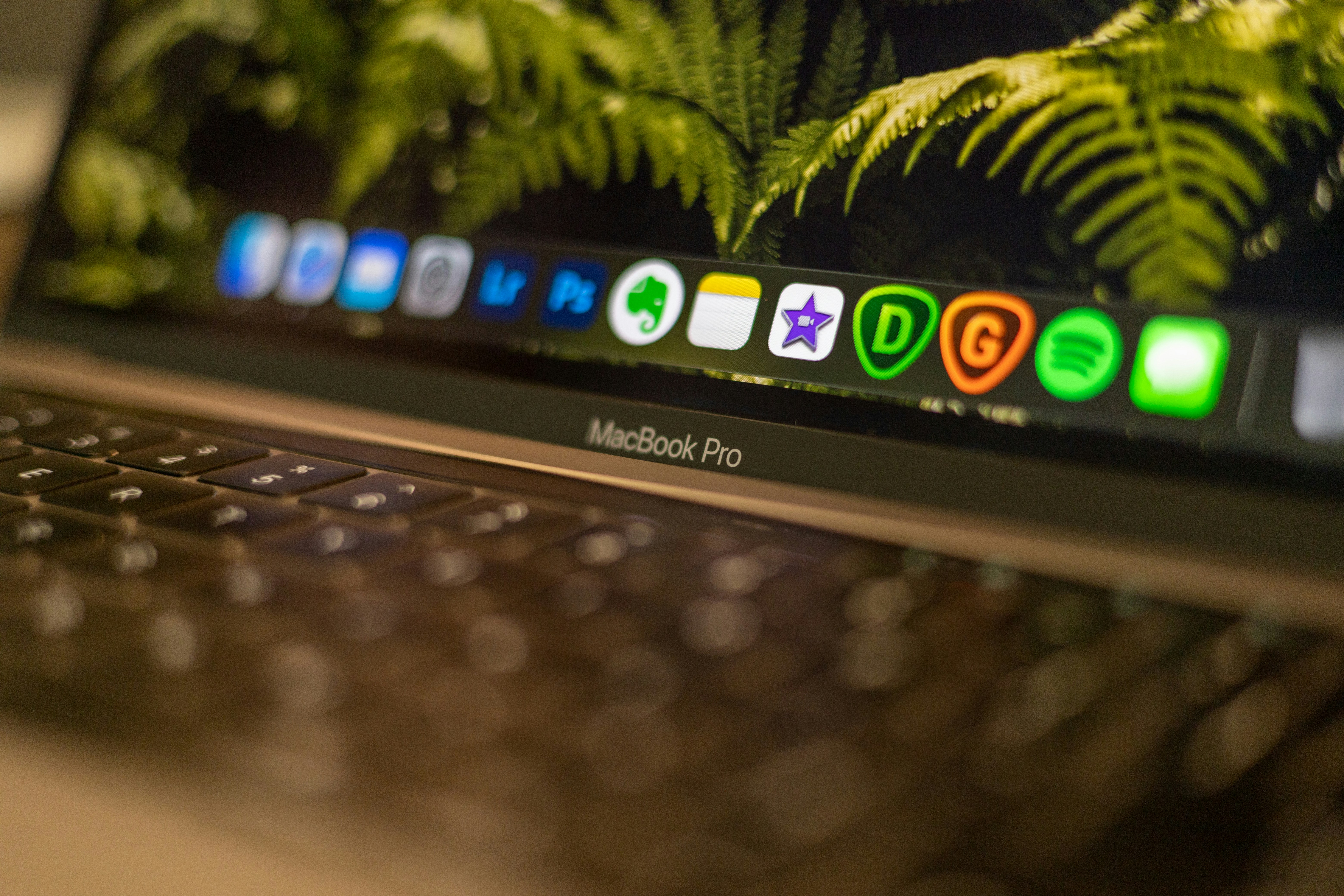 Fern-Framed Icons: A MacBook Pro Glow in Quiet Focus