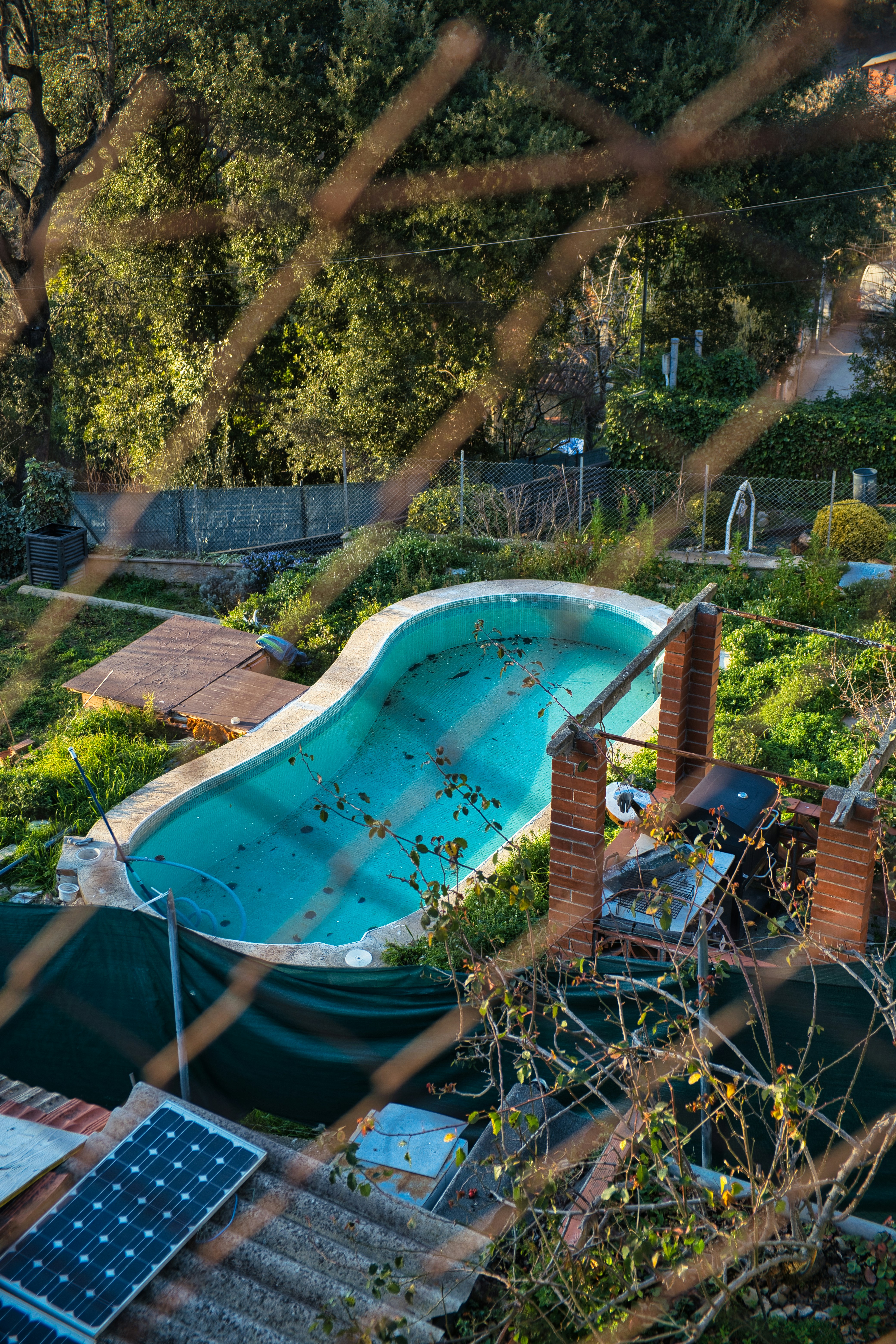 A pool surrounded by trees and a fence photo – Free Swimming pool Image ...