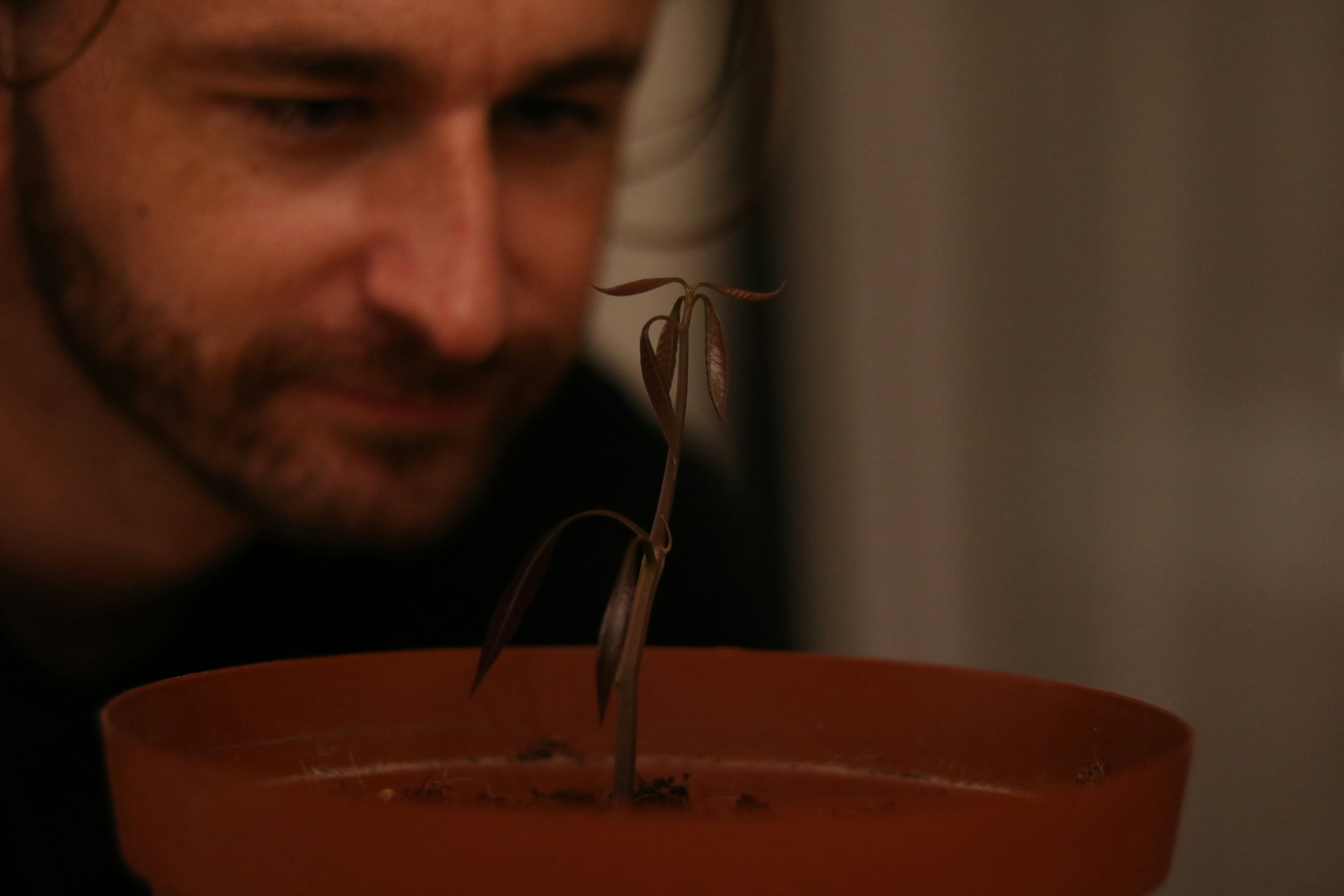 A focused individual gazes intently at a young plant emerging from a terracotta pot, symbolizing growth and care.