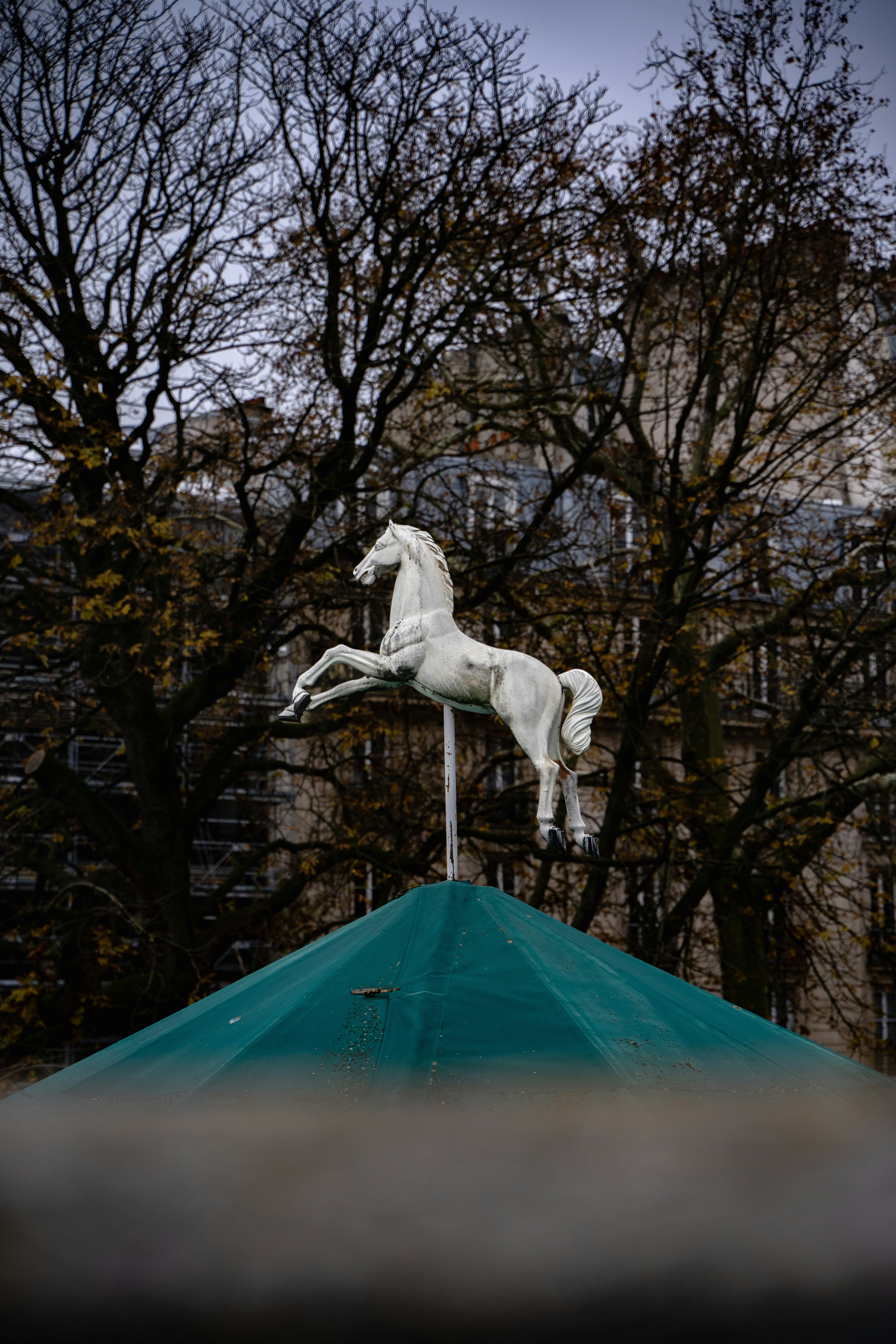 White Stallion on a Turquoise Peak: A Quiet City Park Moment