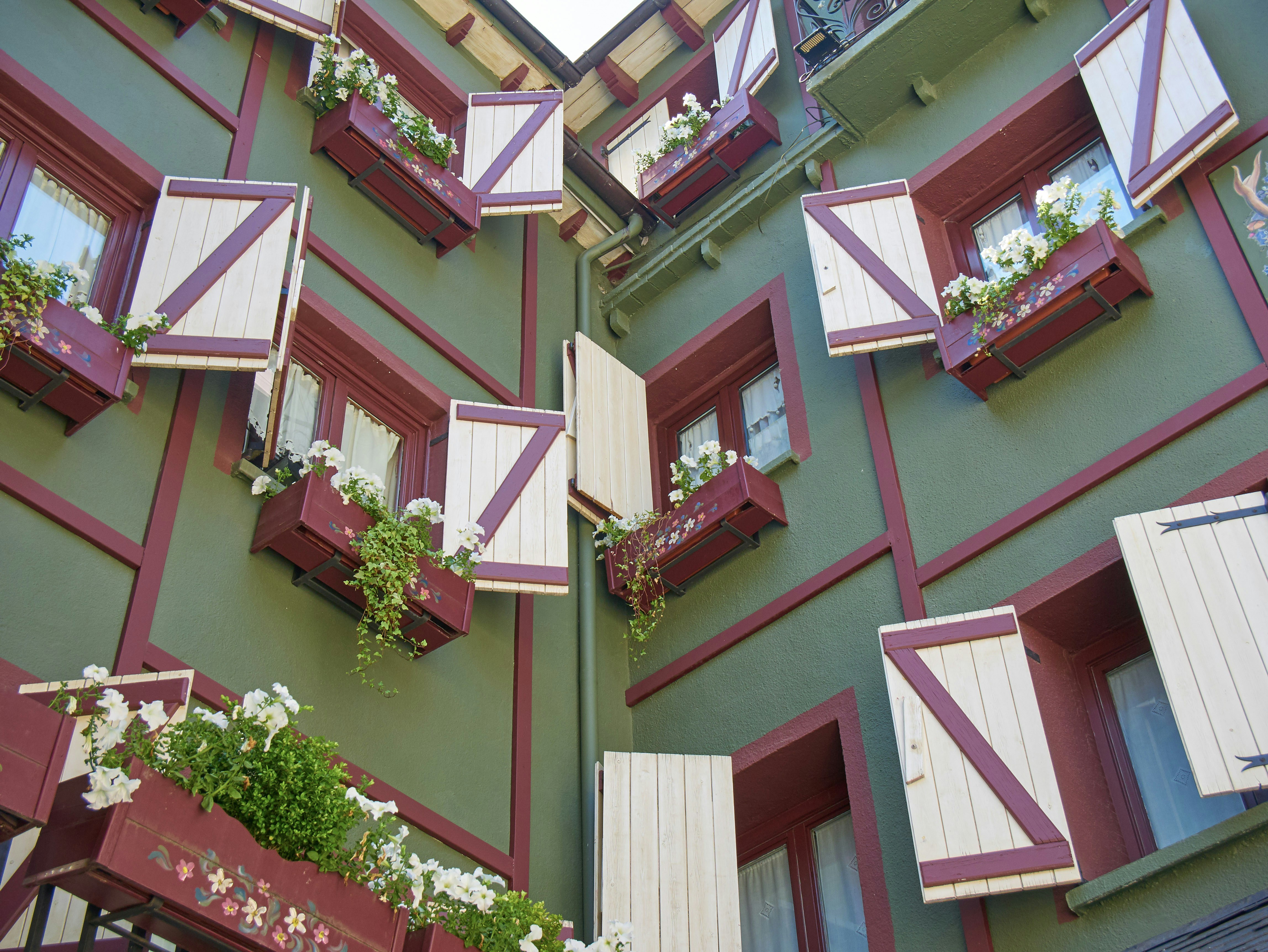 Verdant Facade: Open Shutters and Flowered Windows