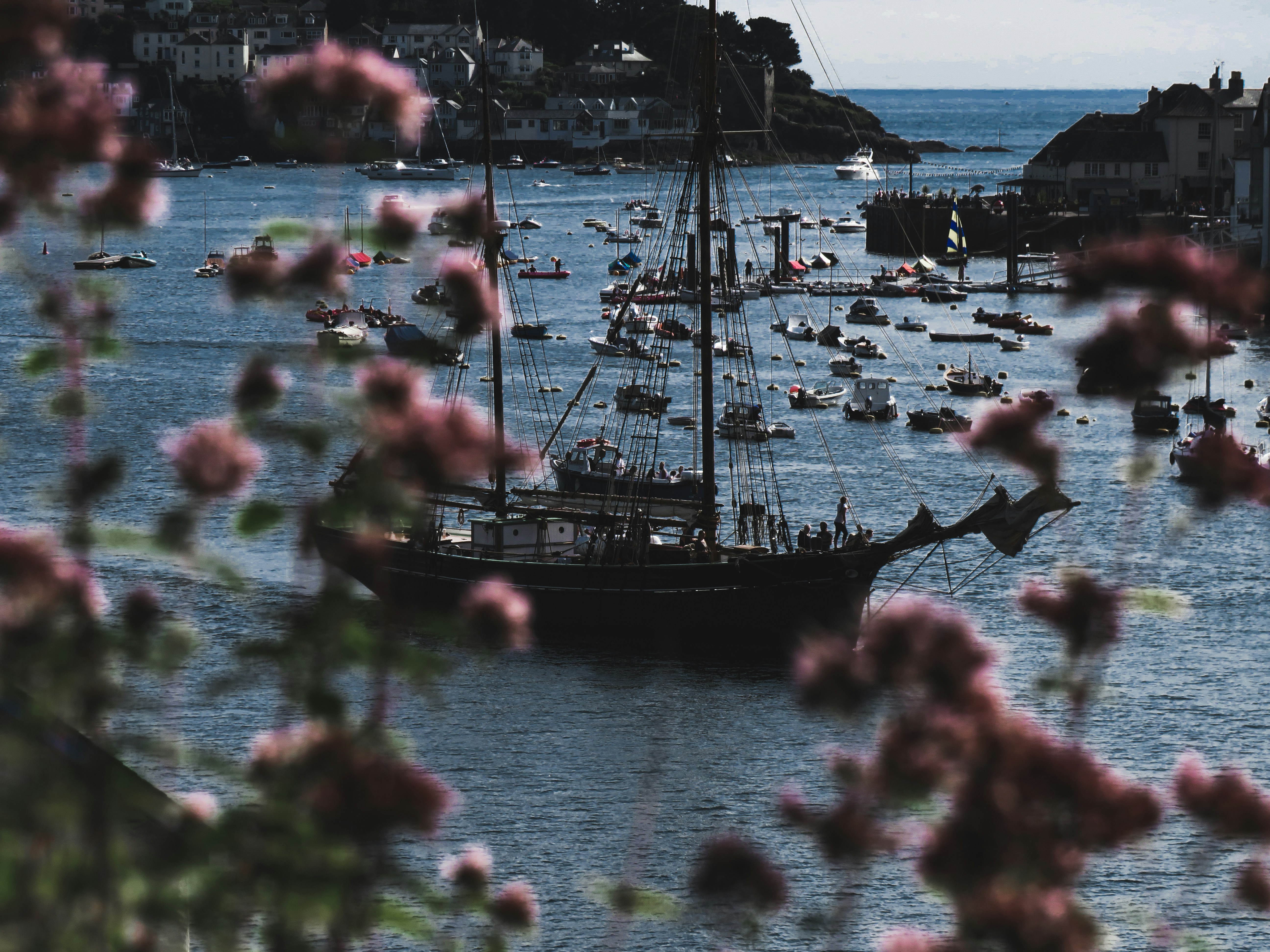 Harbor Frame: A Tall-Masted Schooner Anchored Among a Flotilla, Framed by Pink Foreground Blossoms