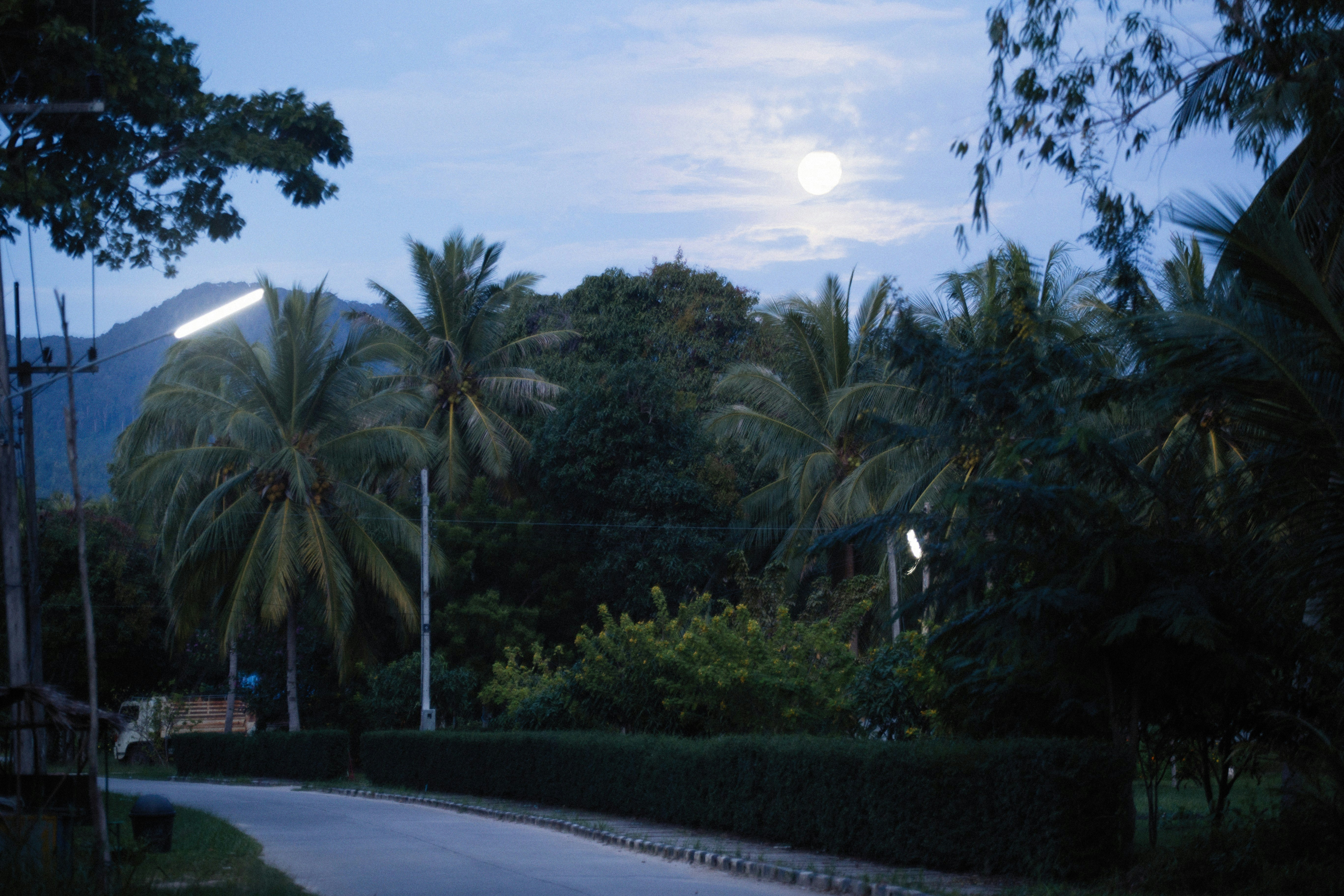 a street with trees and bushes on both sides of it