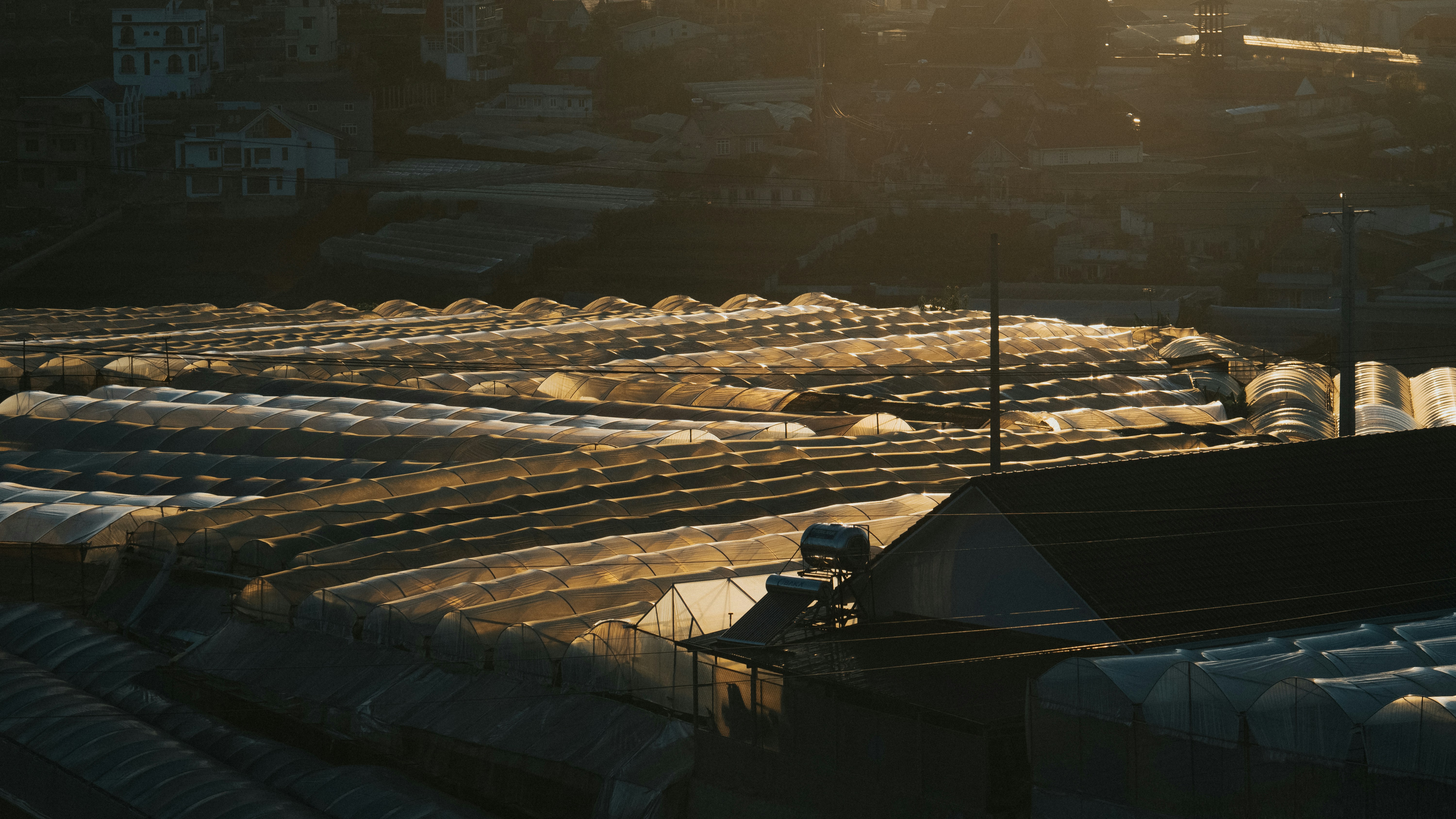 A large group of buildings with a lot of roofs photo – Free Building ...