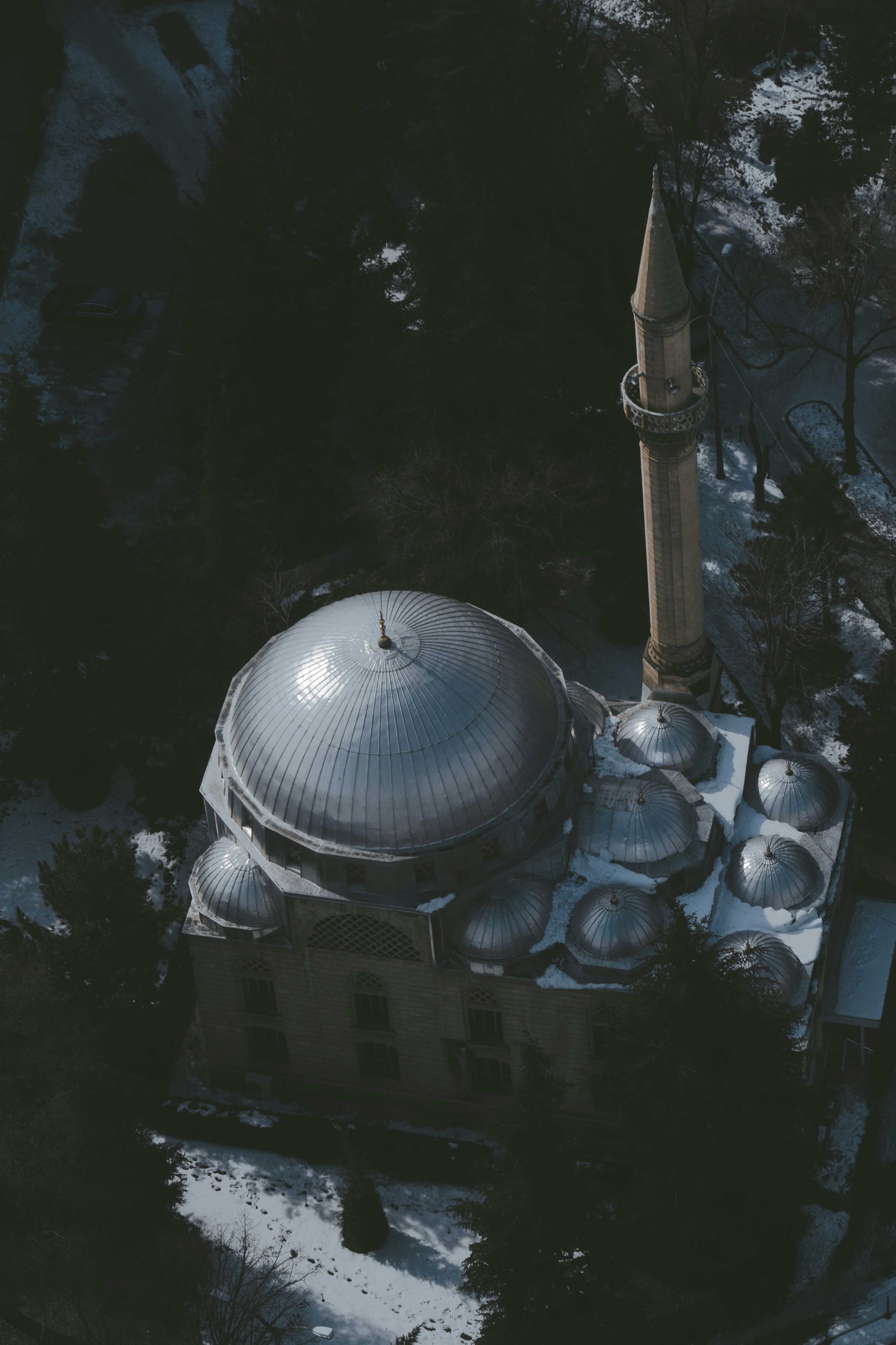 Snowbound Dome: An Aerial Portrait of a Mosque Amid Pines