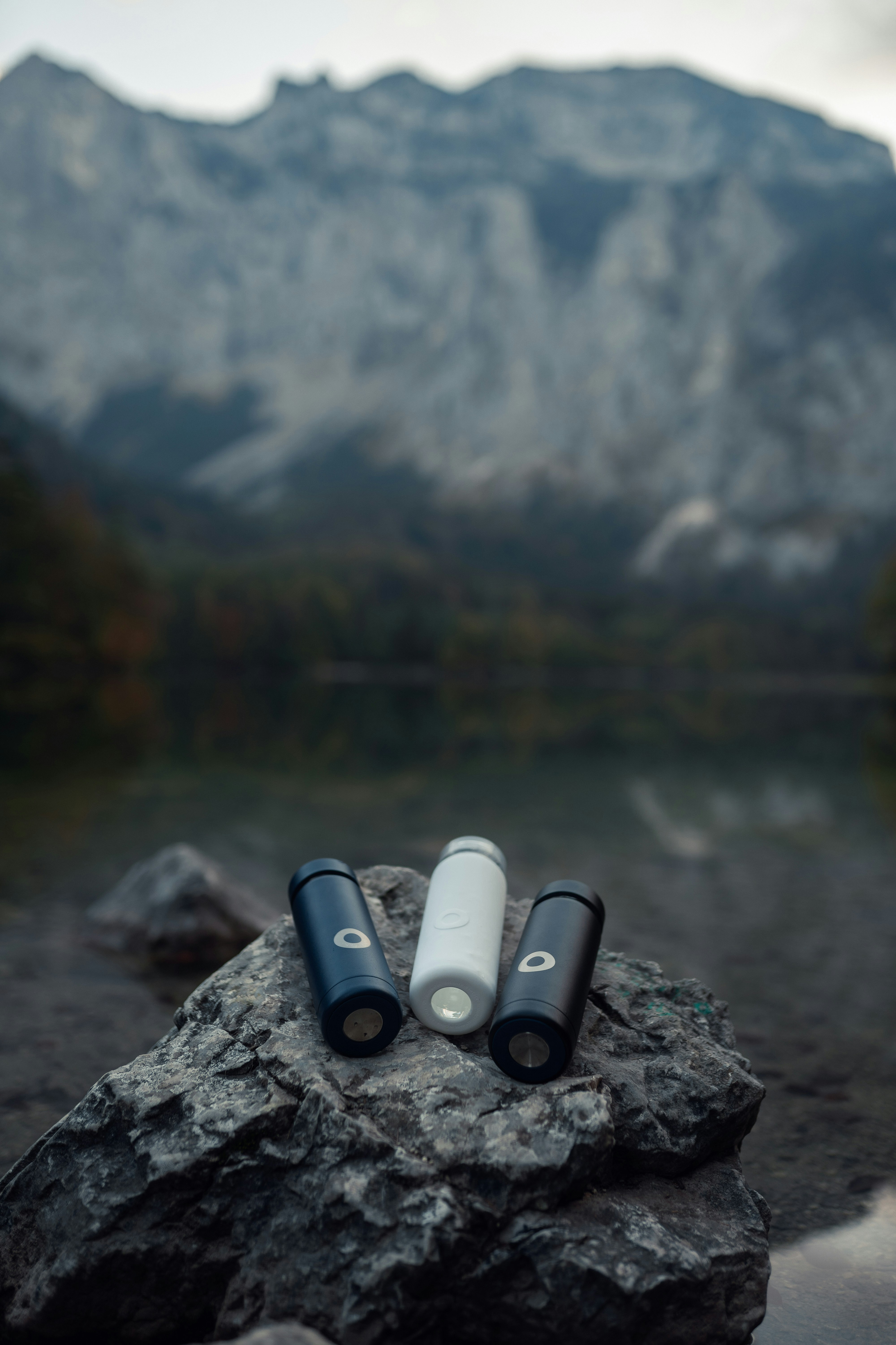 Blending in with nature.
Photo: Michael Holzinger
