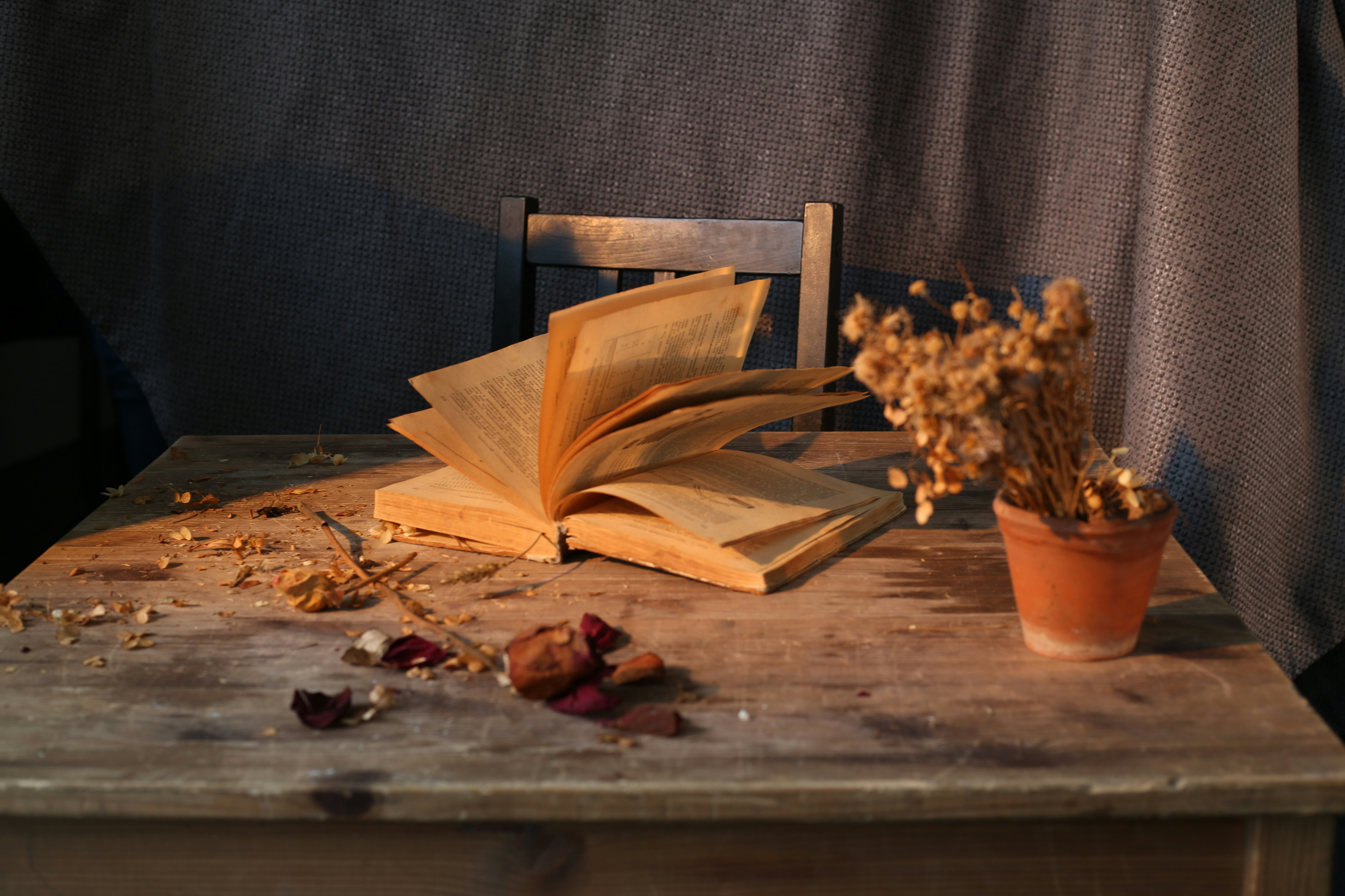 Amber Quiet: An Open Book Beneath a Dried Bouquet
