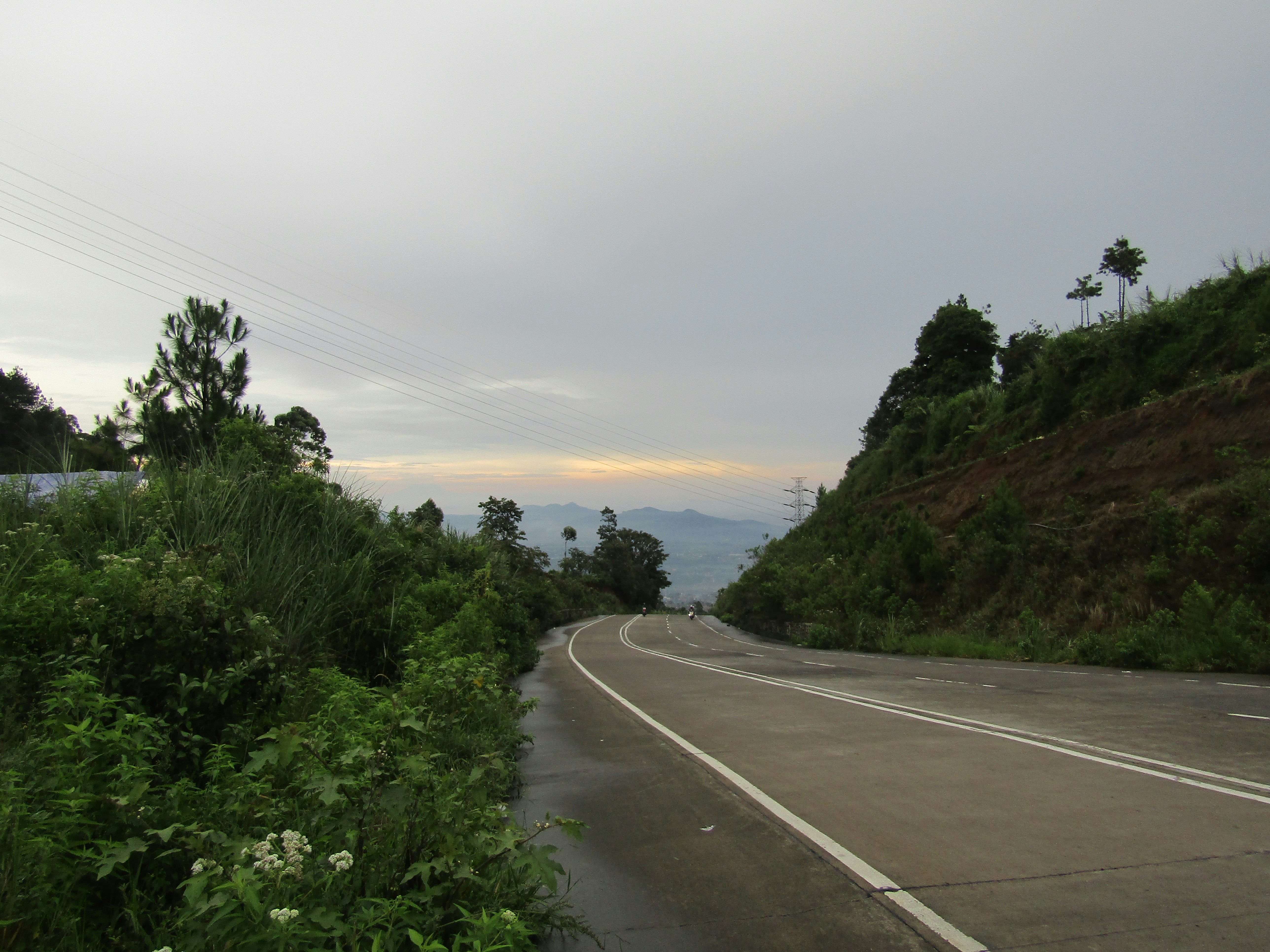 Curved road meandering through dense vegetation with distant mountains under a cloudy sky.