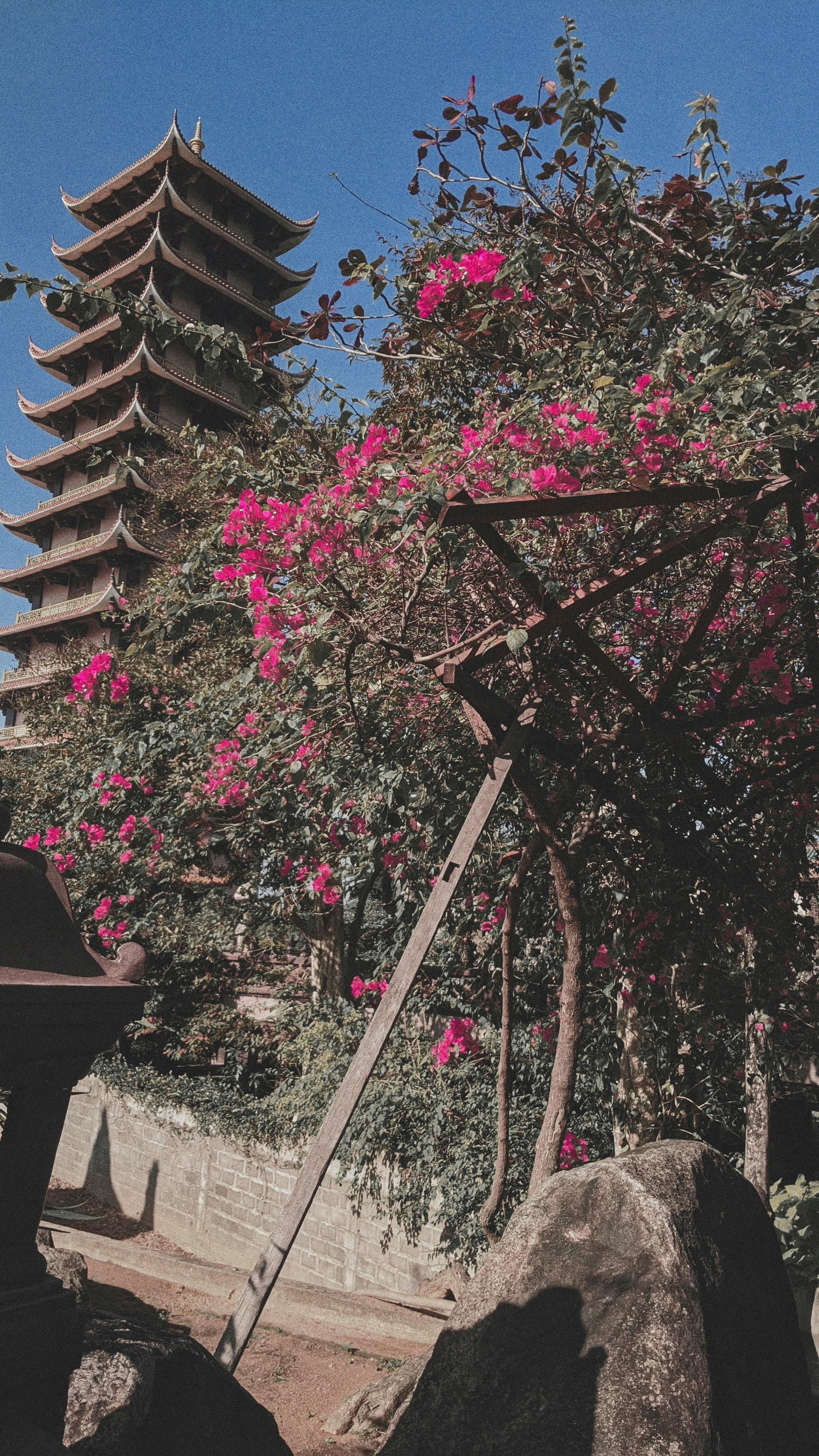 Pink Bougainvillea and a Quiet Pagoda Amid Stone and Sky