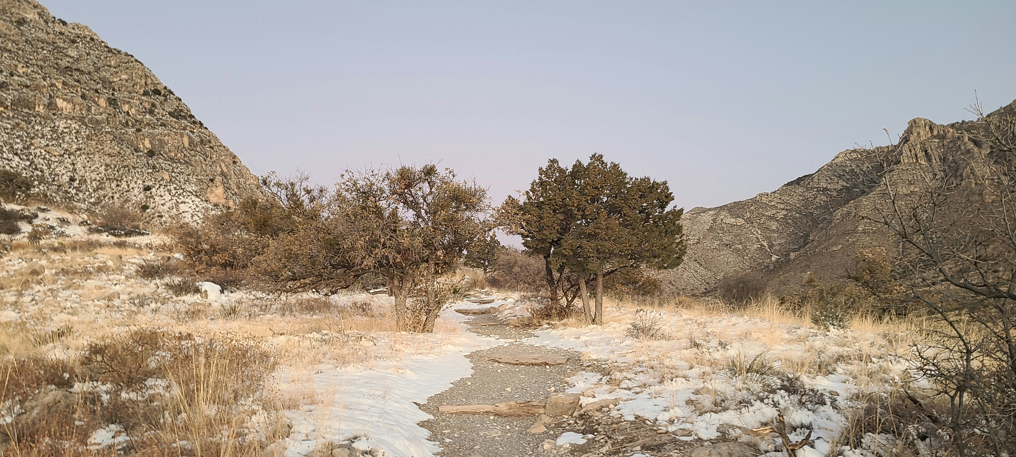 Winding Path Through Winter's Embrace
