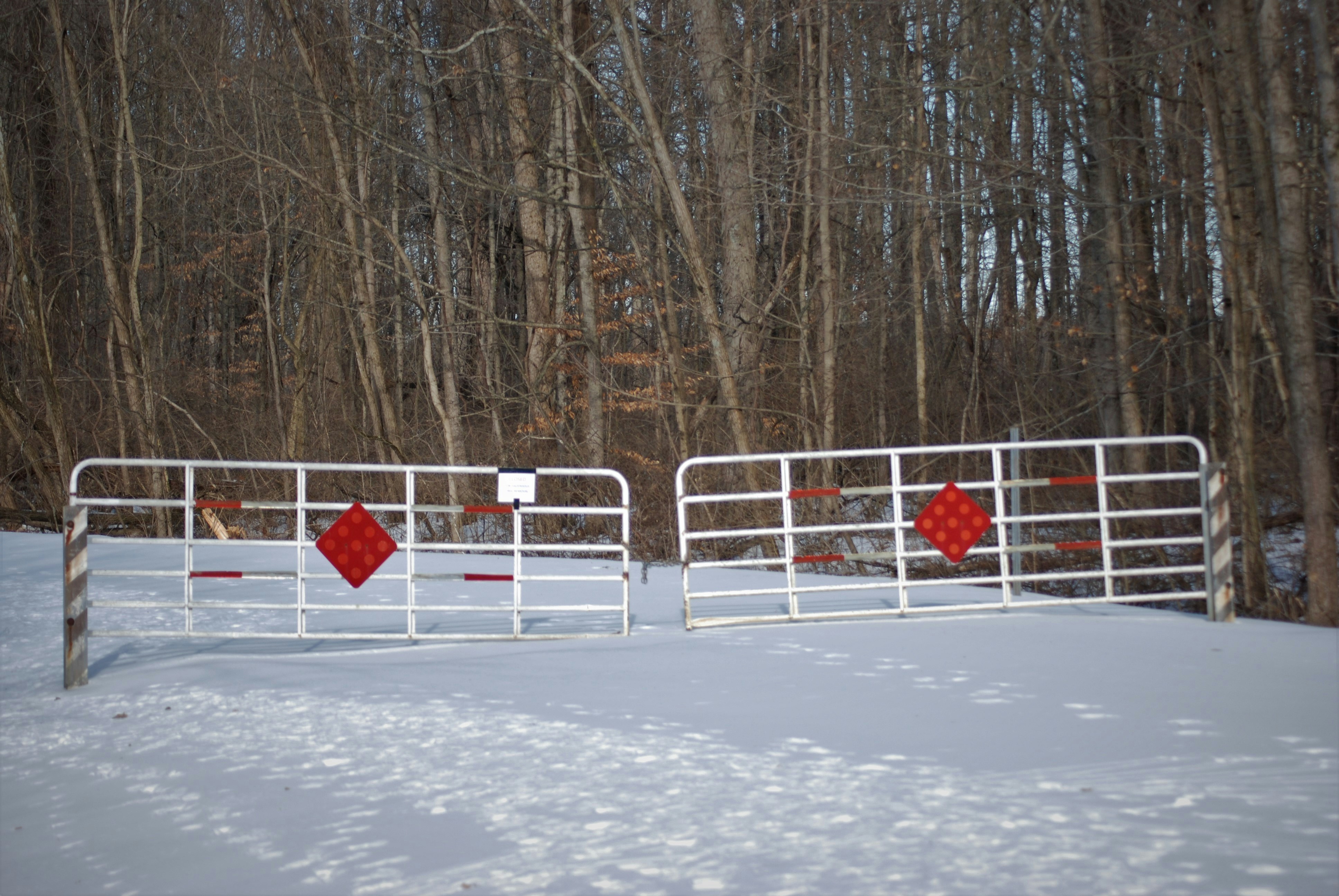 A couple of gates that are in the snow photo – Free Grey Image on Unsplash
