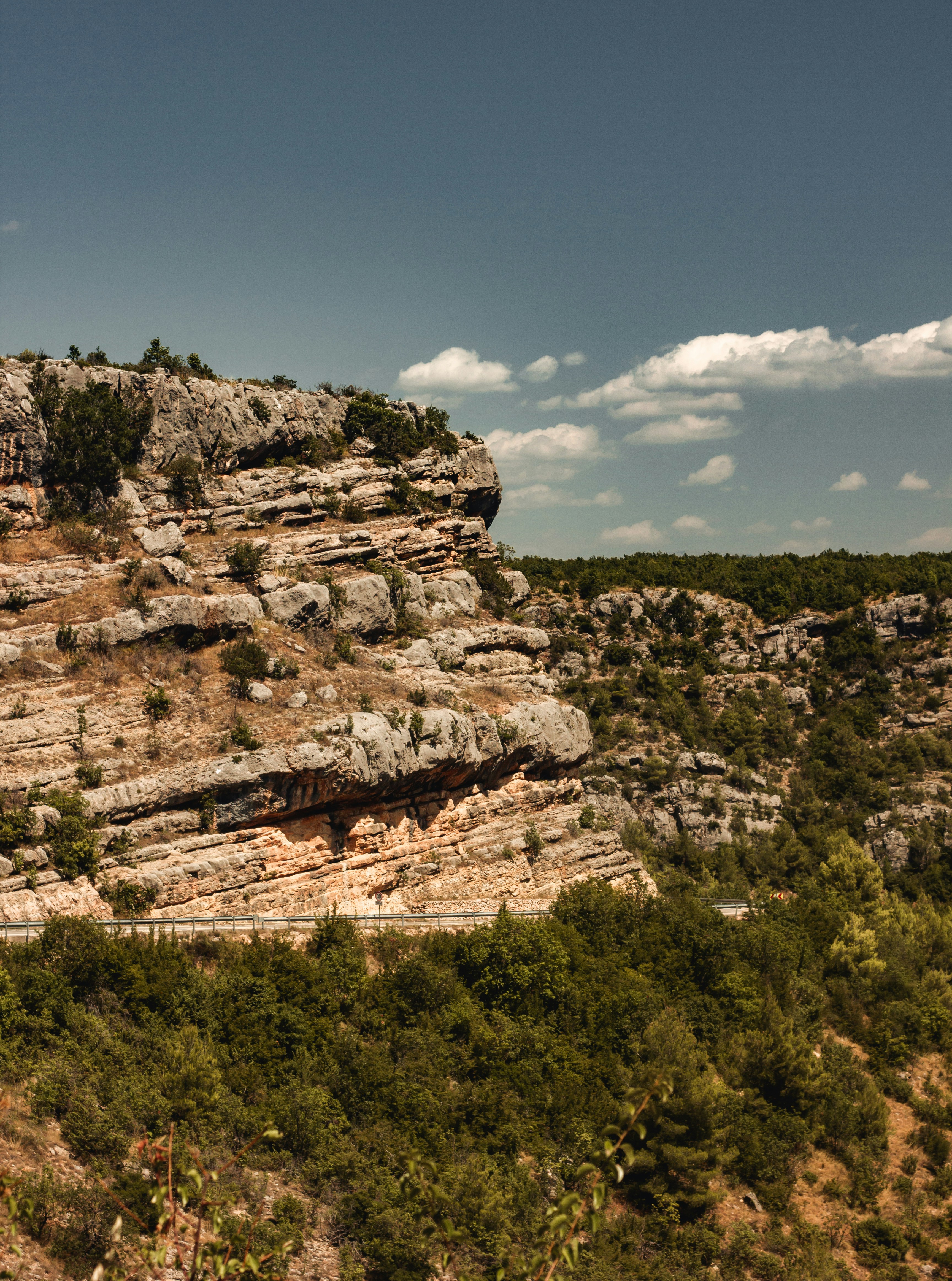 Layered Cliff, Pine Veil, and Sky: A Quiet Vista