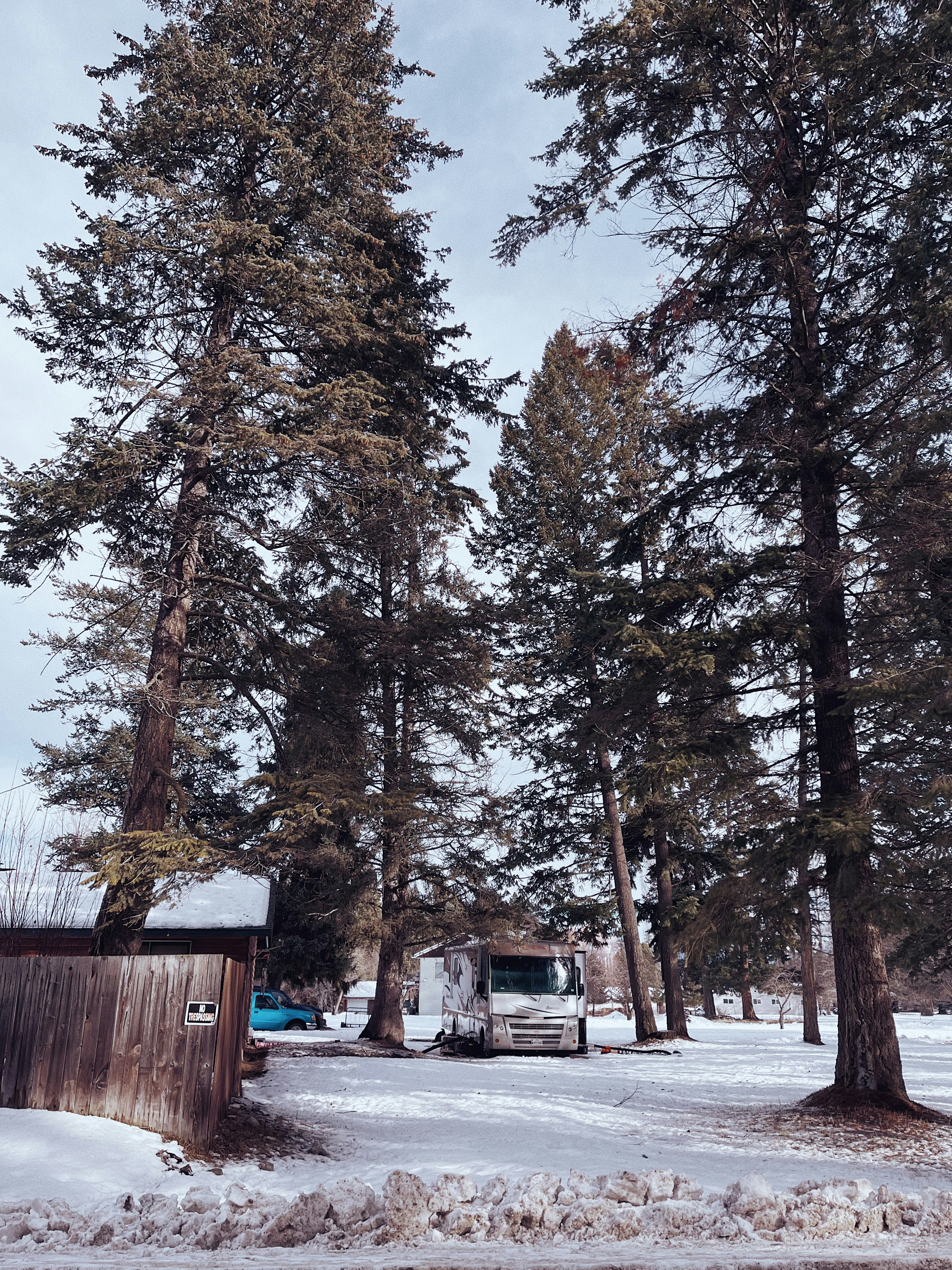 Snow-covered landscape featuring towering evergreen trees and a parked camper amidst a serene winter setting.