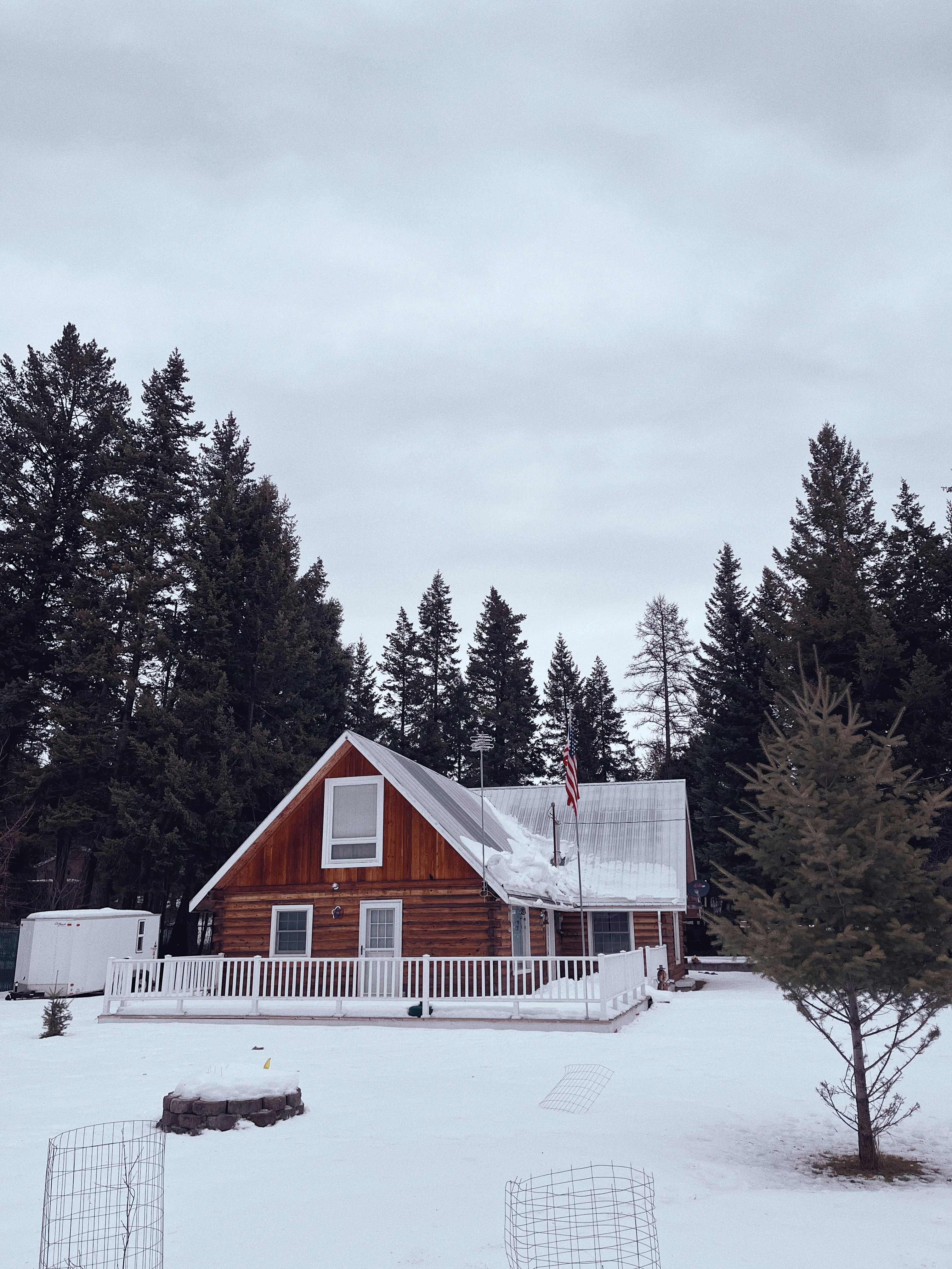 Charming wooden cabin surrounded by snow-covered ground and tall pine trees, evoking a serene winter atmosphere.