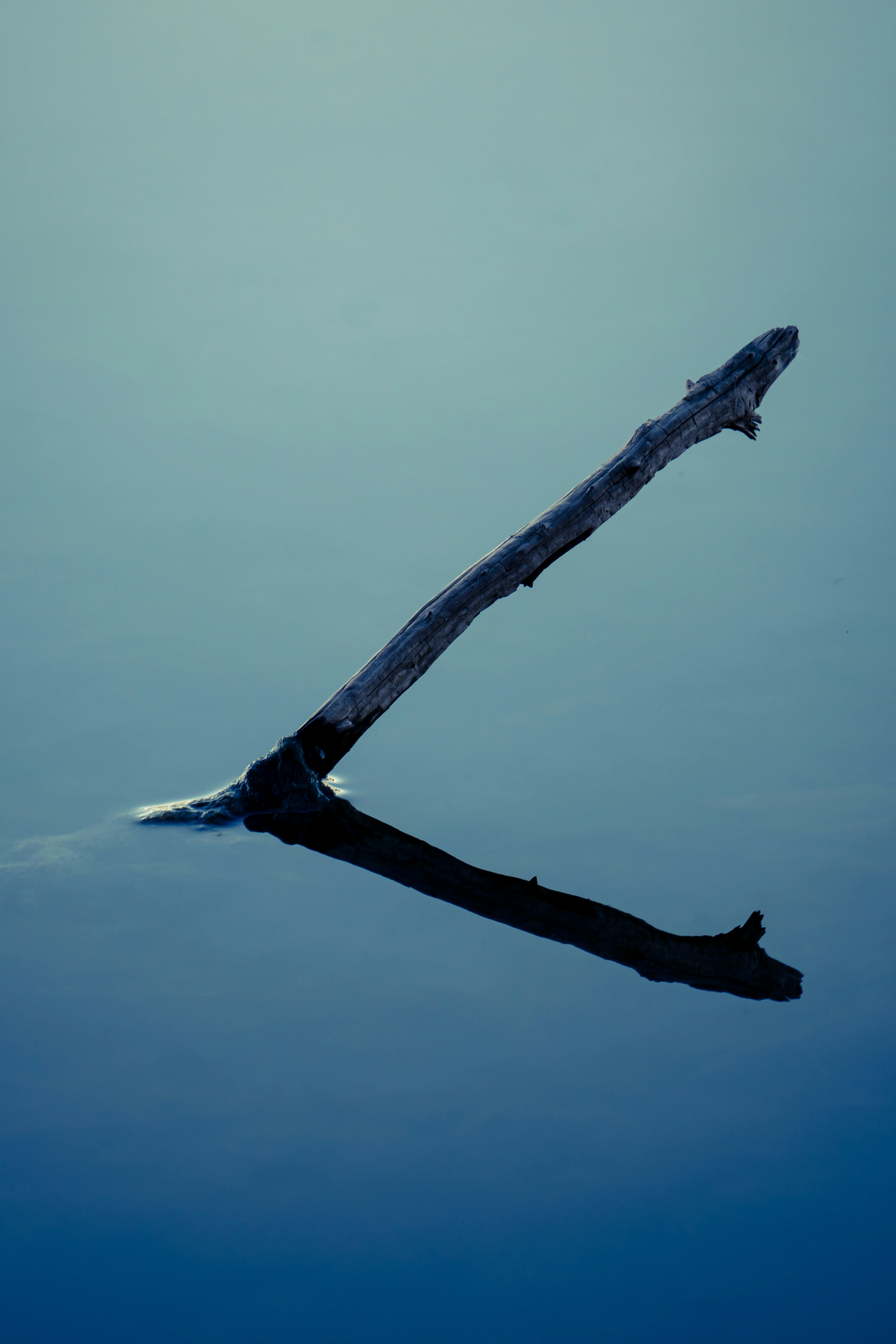 A solitary stick partially submerged in calm water, creating a serene reflection that enhances the tranquil ambiance.