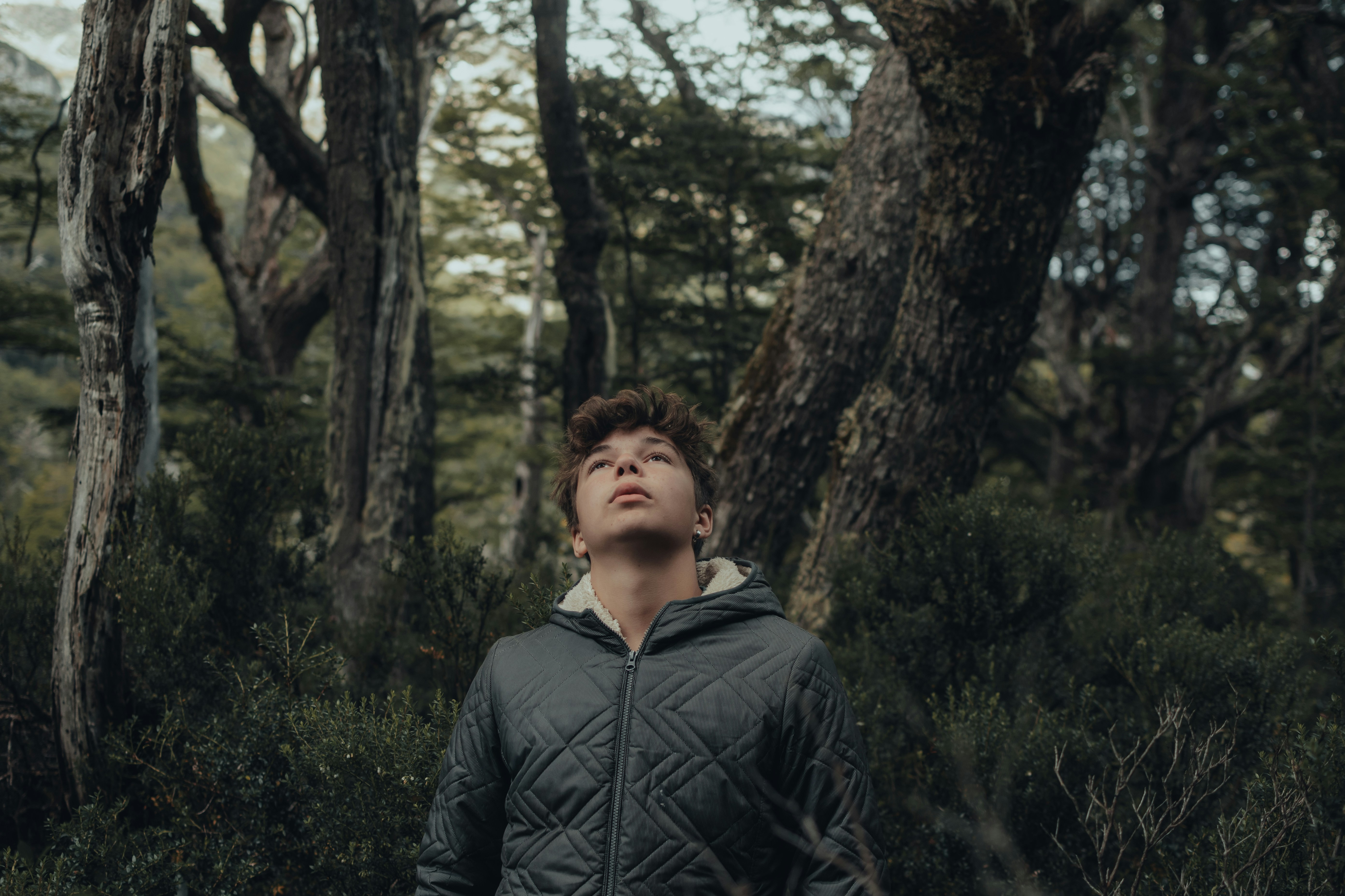 A man standing in a forest looking up at the sky photo – Free Forest ...