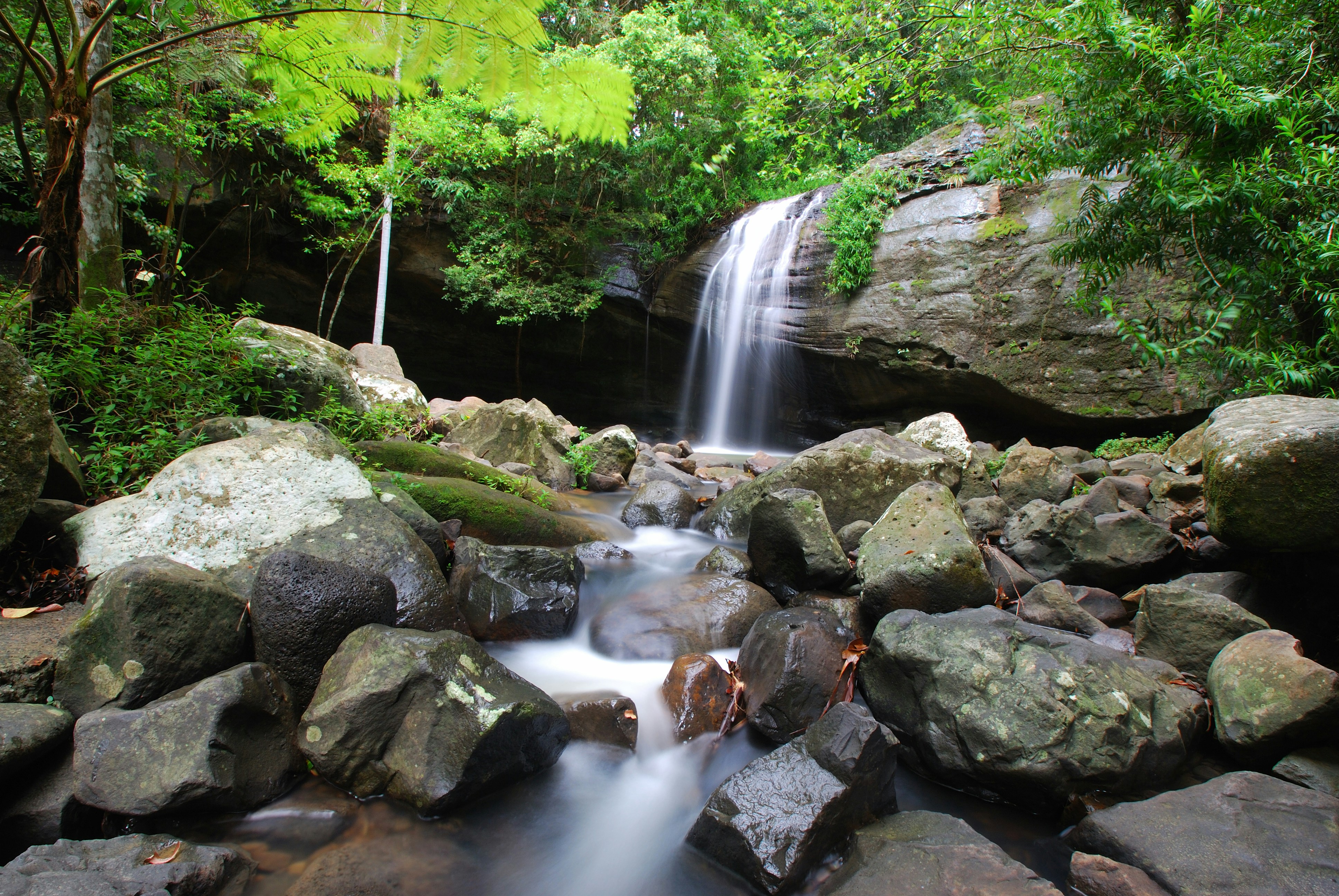 Waterfall cascading over rocks surrounded by lush greenery at Buderm Falls.