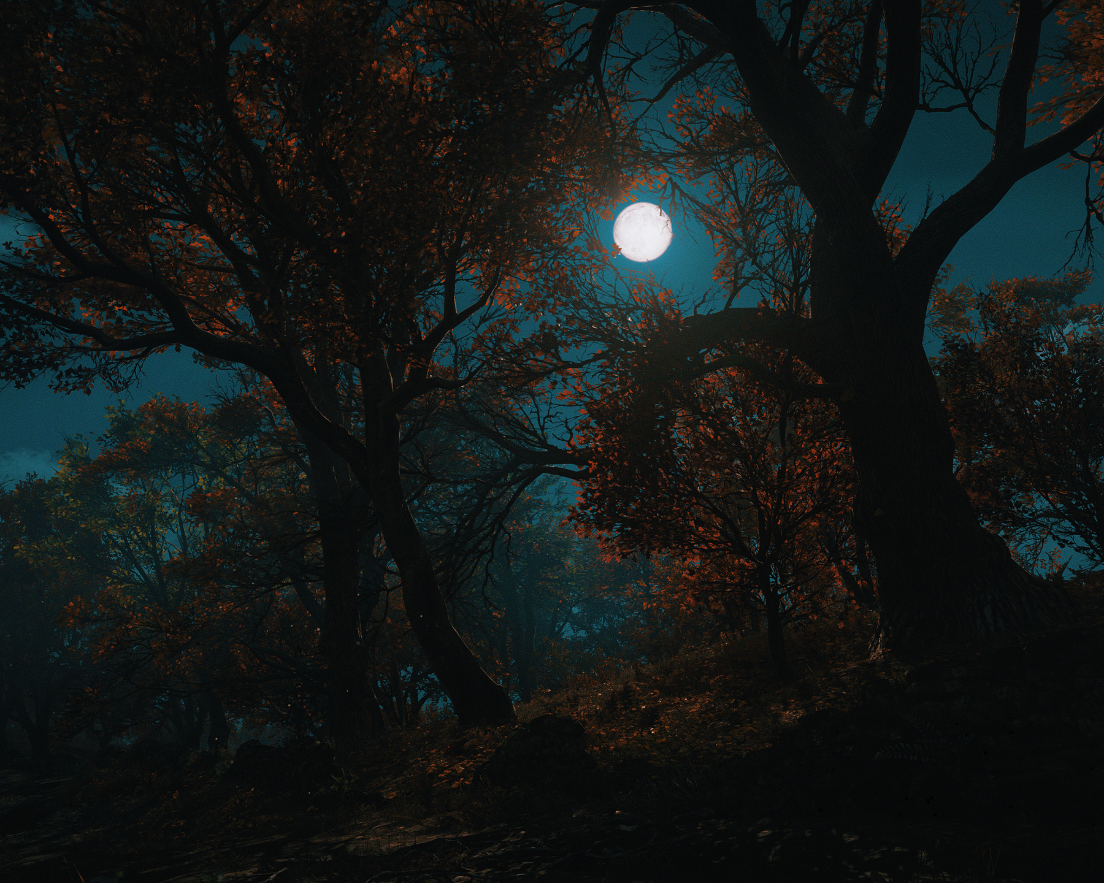 A full moon shines through the trees at night photo – Free Grey Image ...