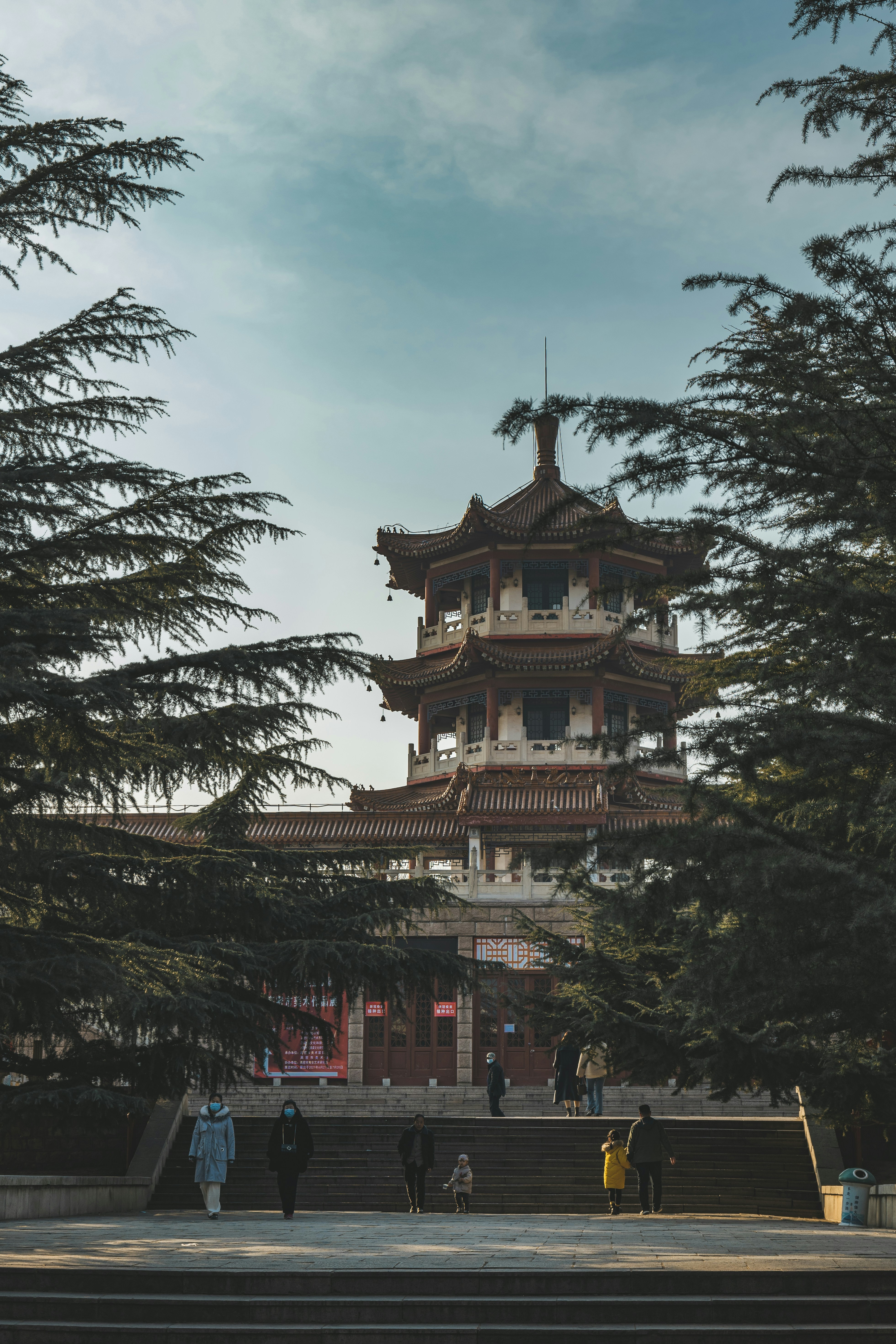 Pagoda Amid Pines: A Quiet Park Staircase to a Timeless Tower