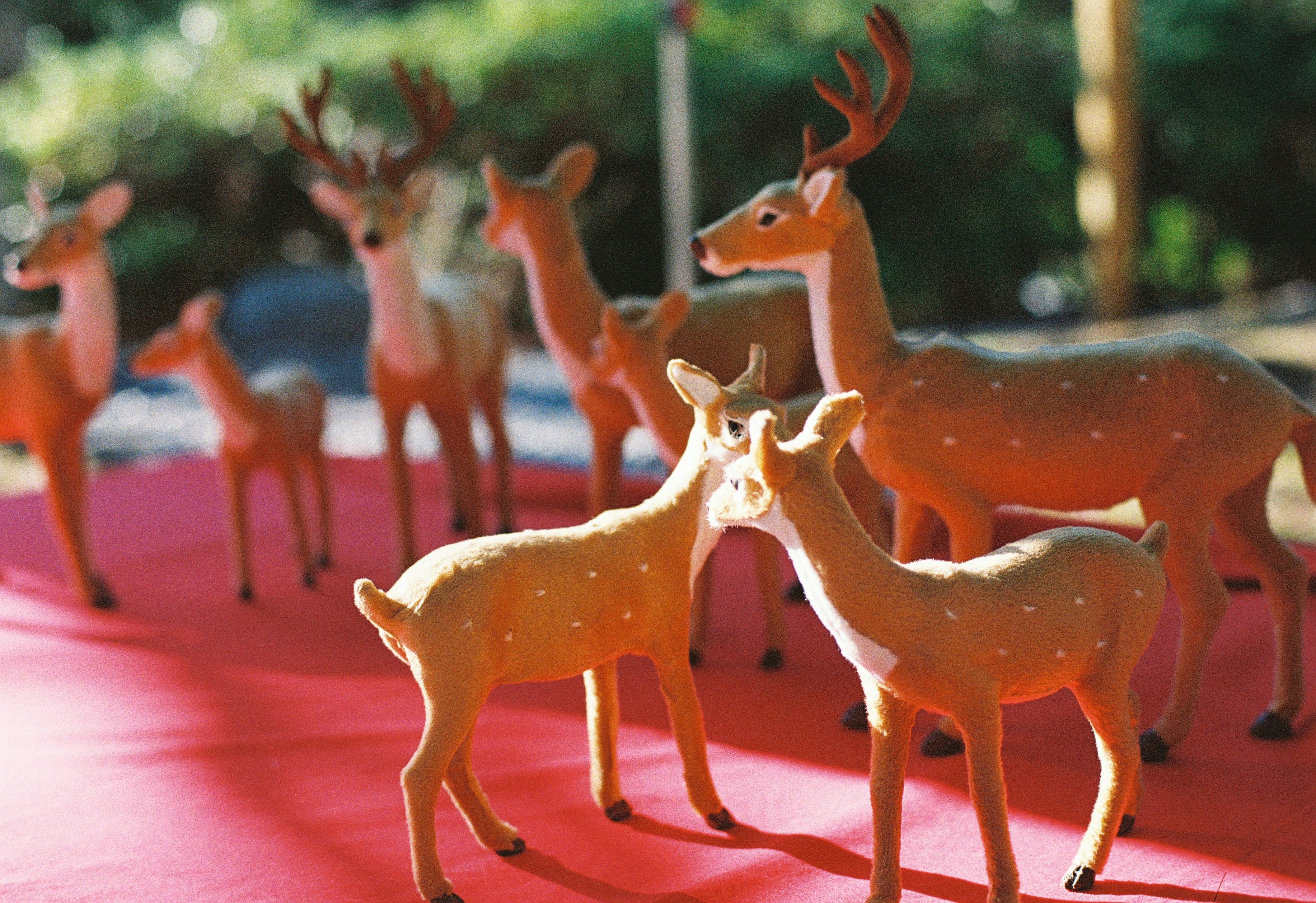 Sunlit Plastics on a Magenta Stage: A Tiny Deer Parade