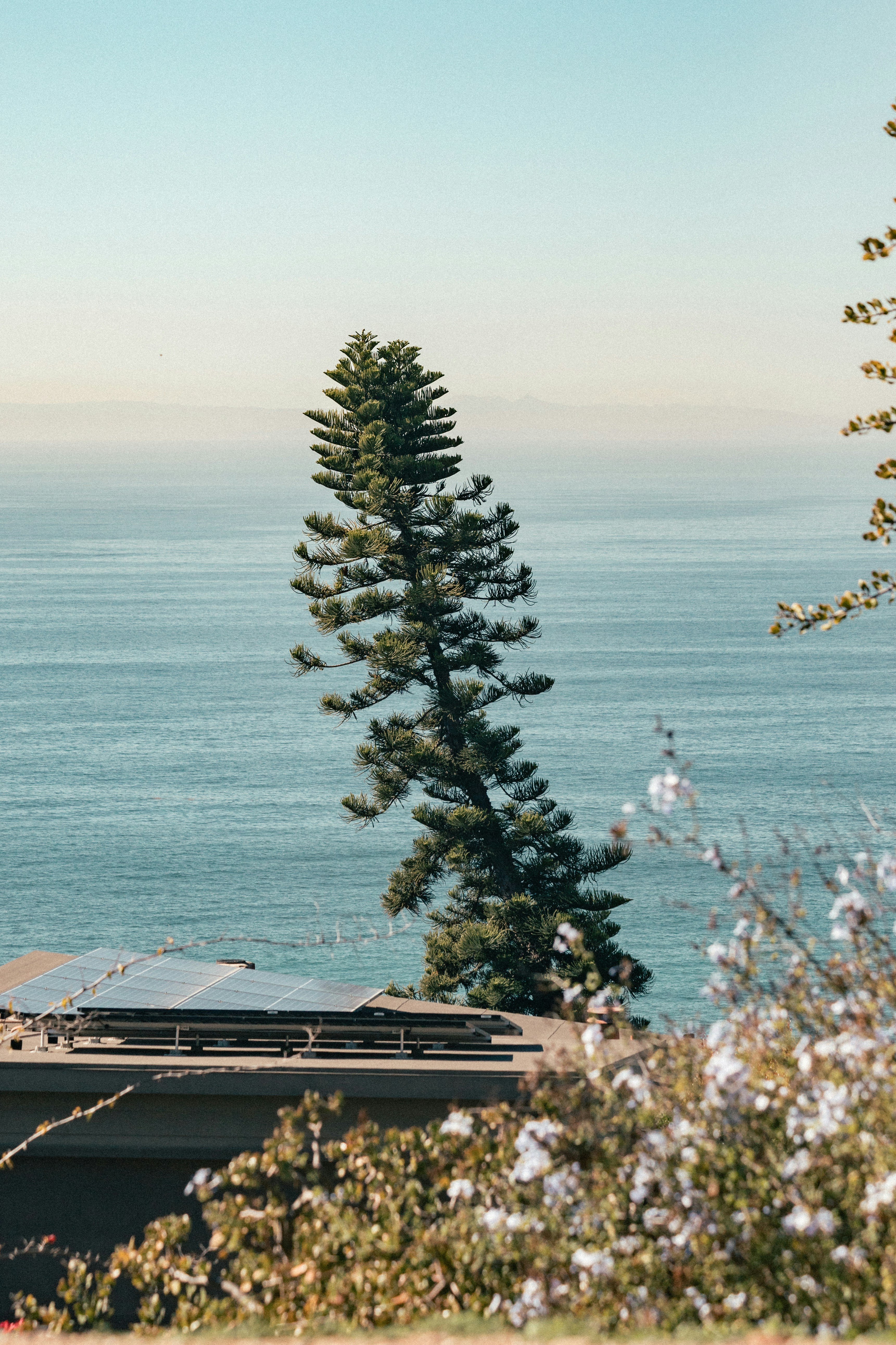 a view of a body of water from a hill