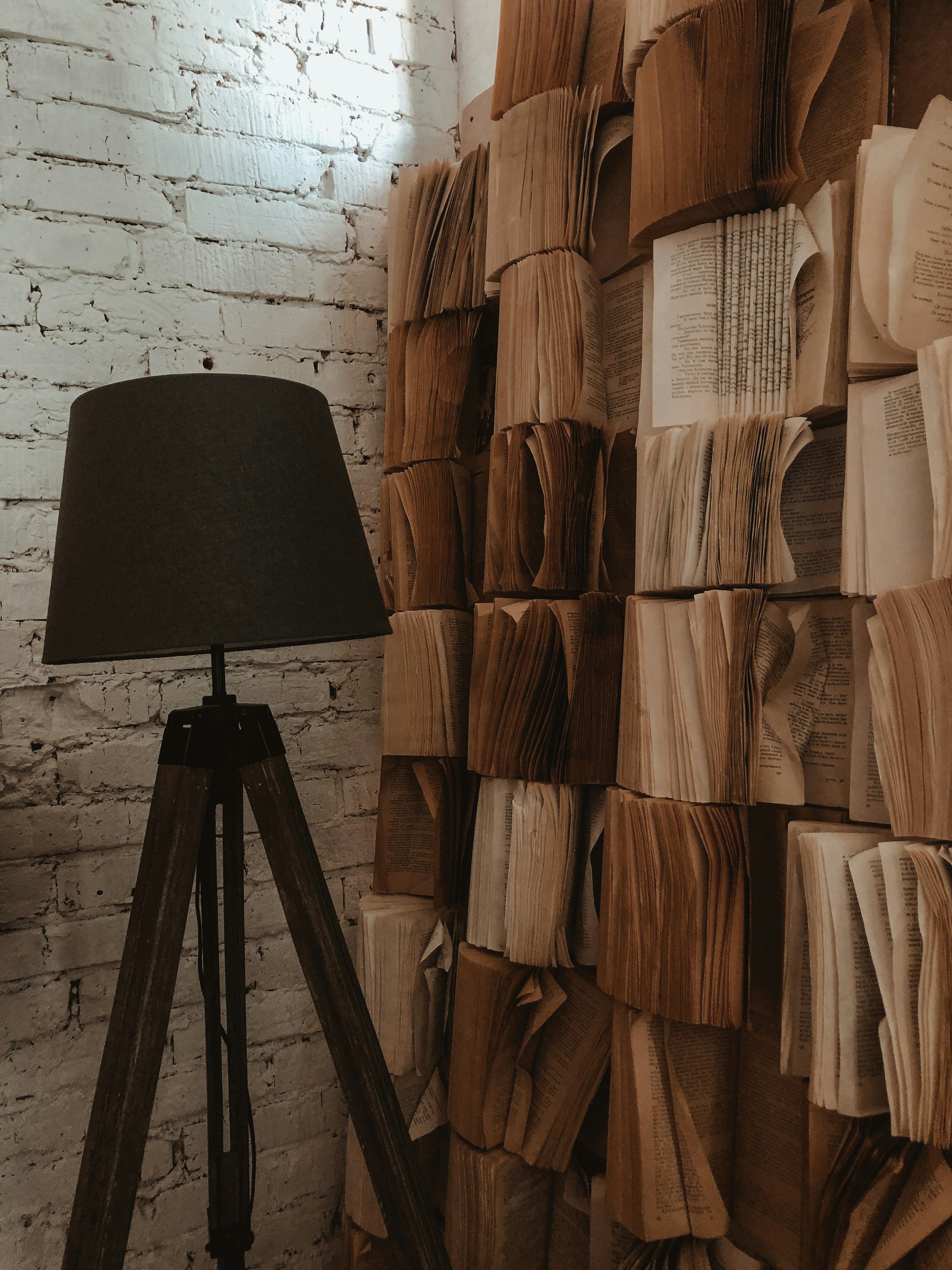 Illuminated by a Quiet Wall of Pages