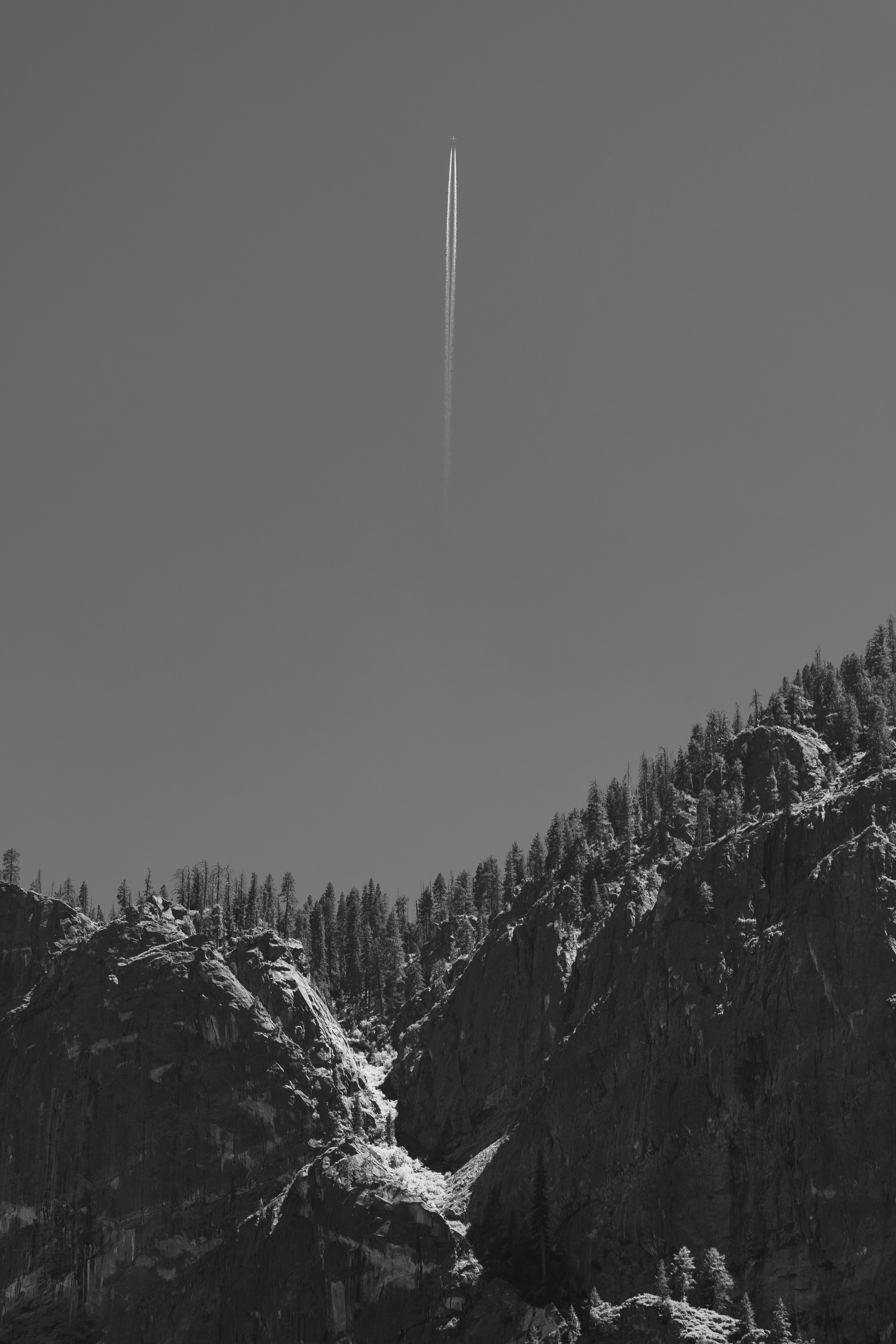 Un avion survolant une montagne avec des arbres photo – Photo Gris ...