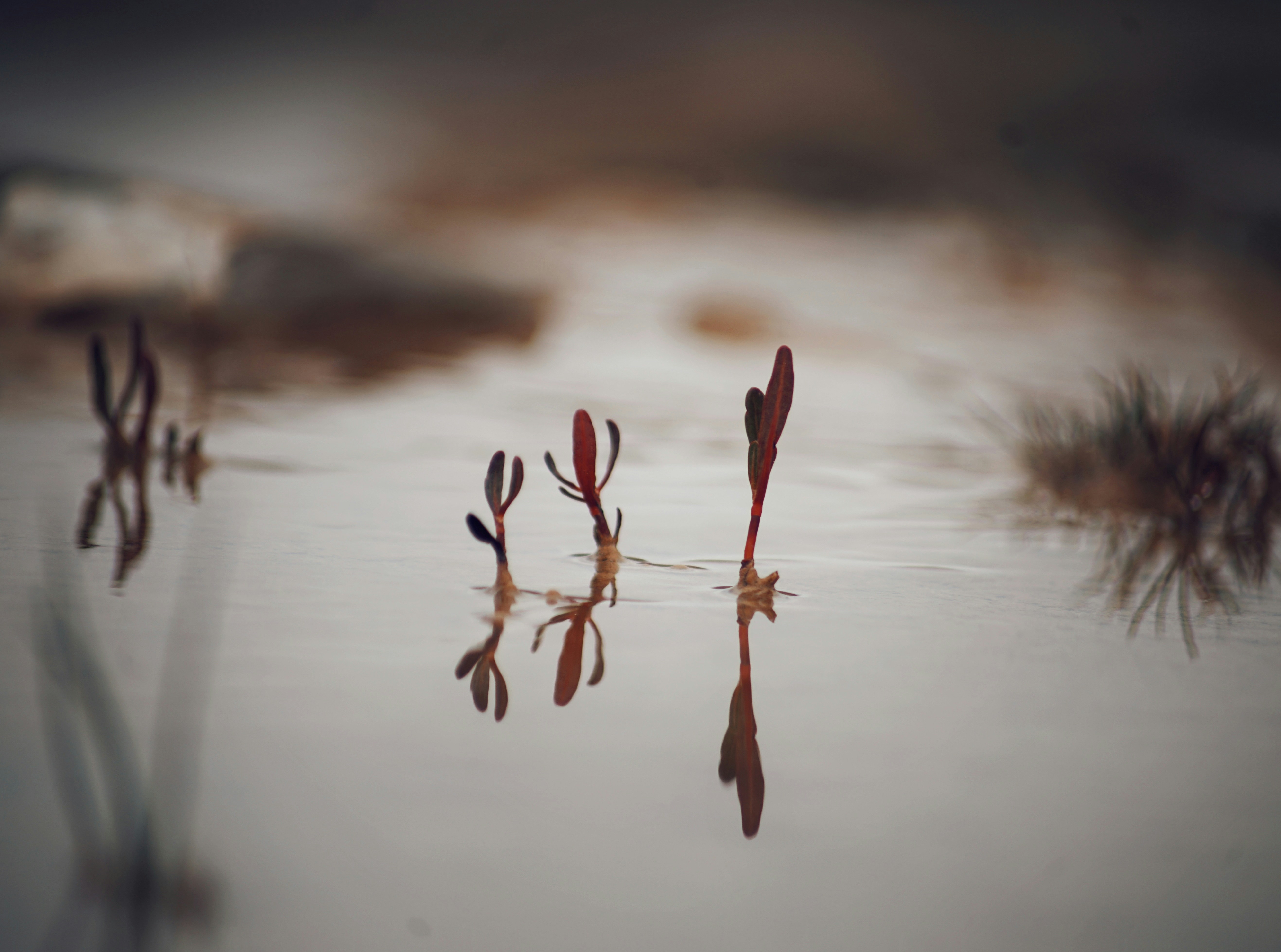 Reflections at the Quiet Edge