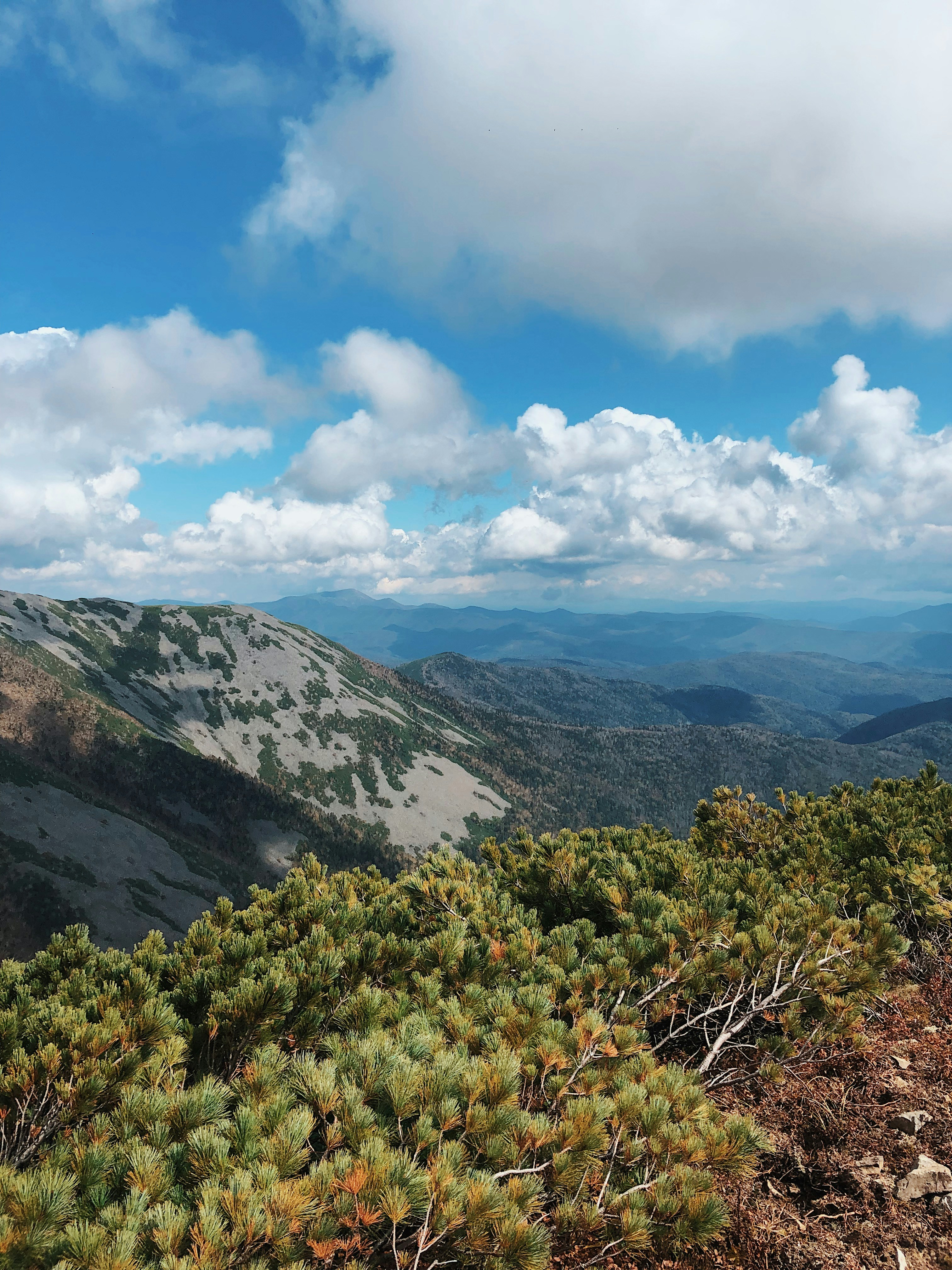 Lush greenery foreground with rugged mountains and a vast sky filled with clouds in the background.