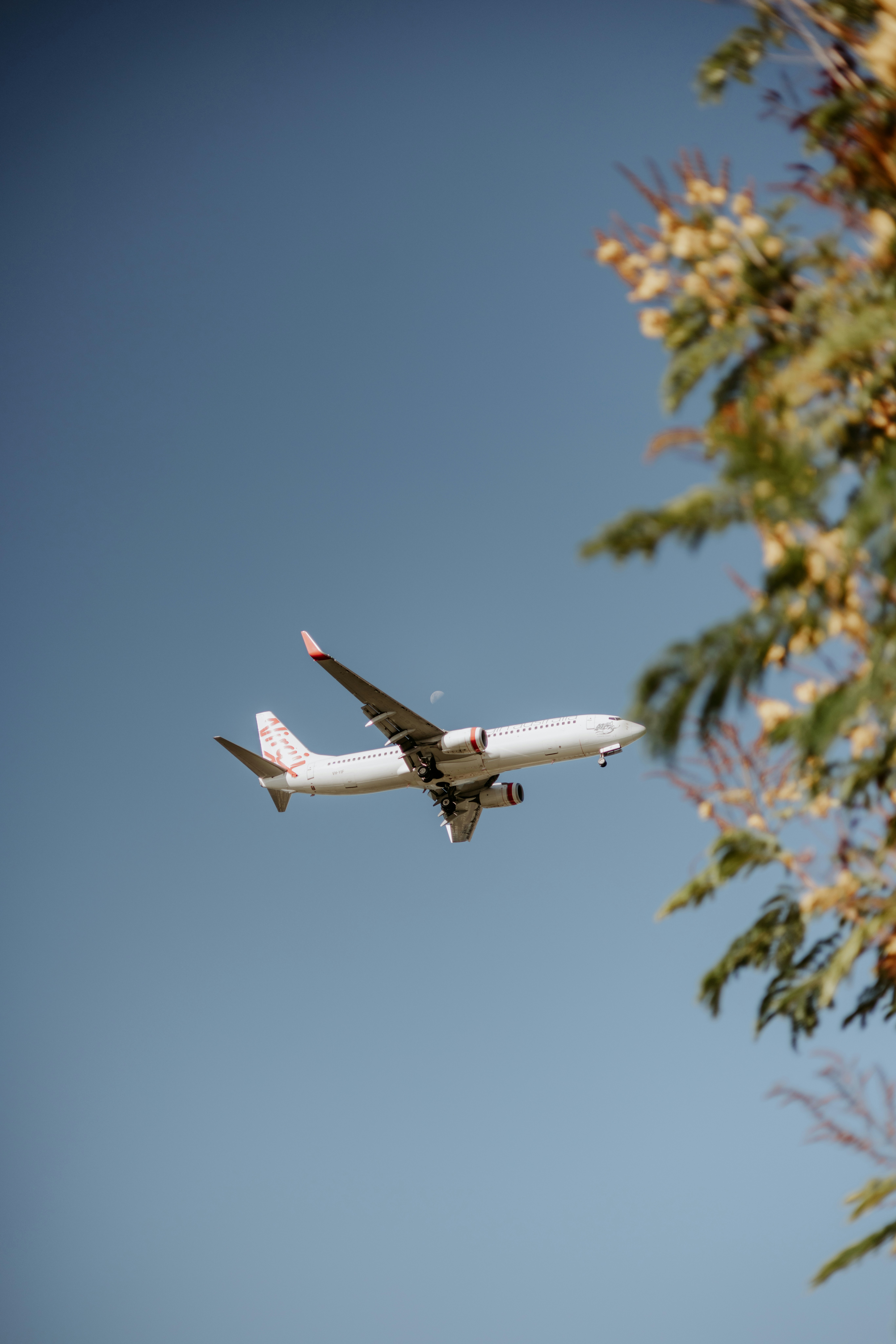 A large passenger jet flying through a blue sky photo – Free Grey Image ...
