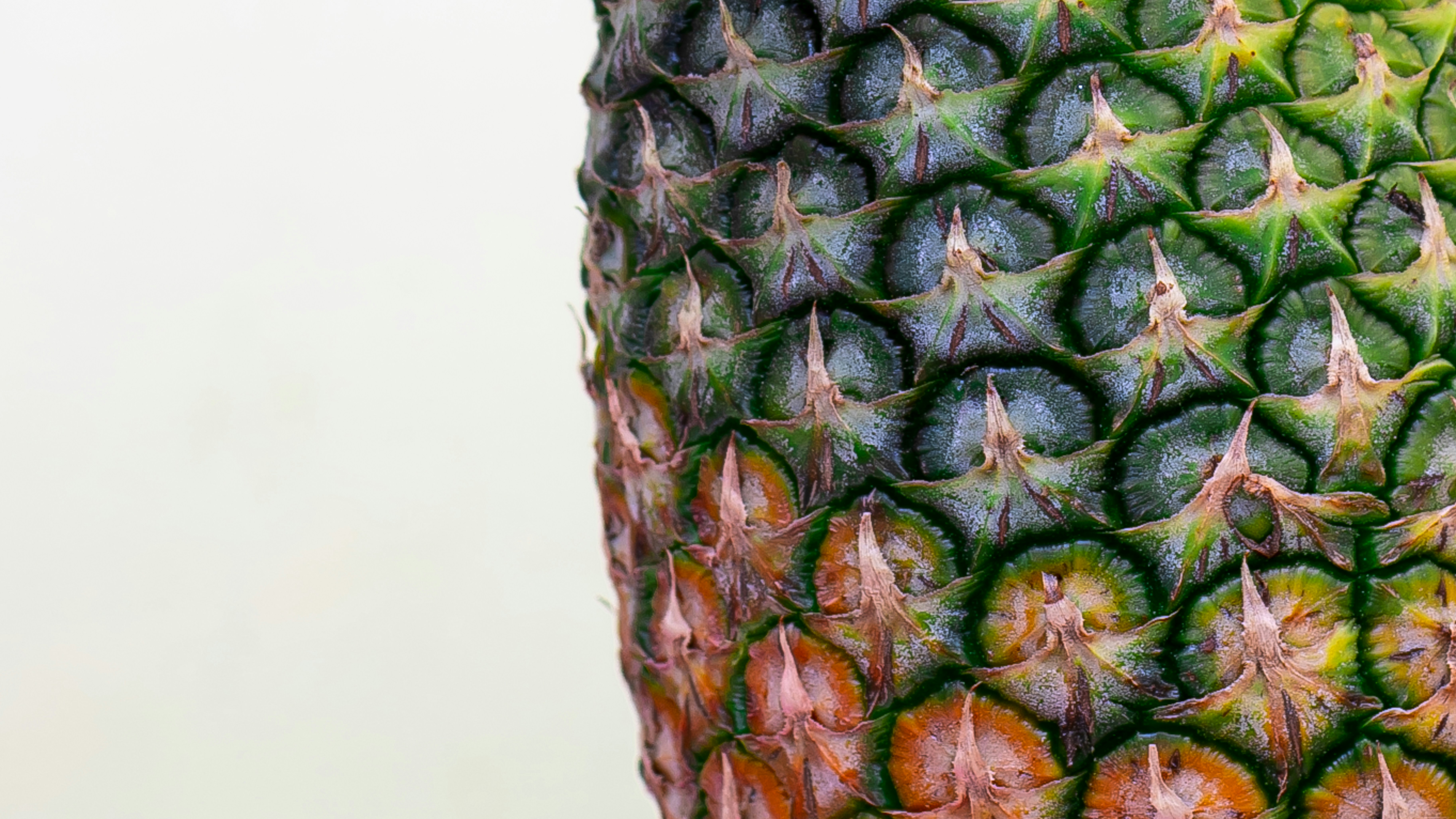 a close up of a pineapple on a white background