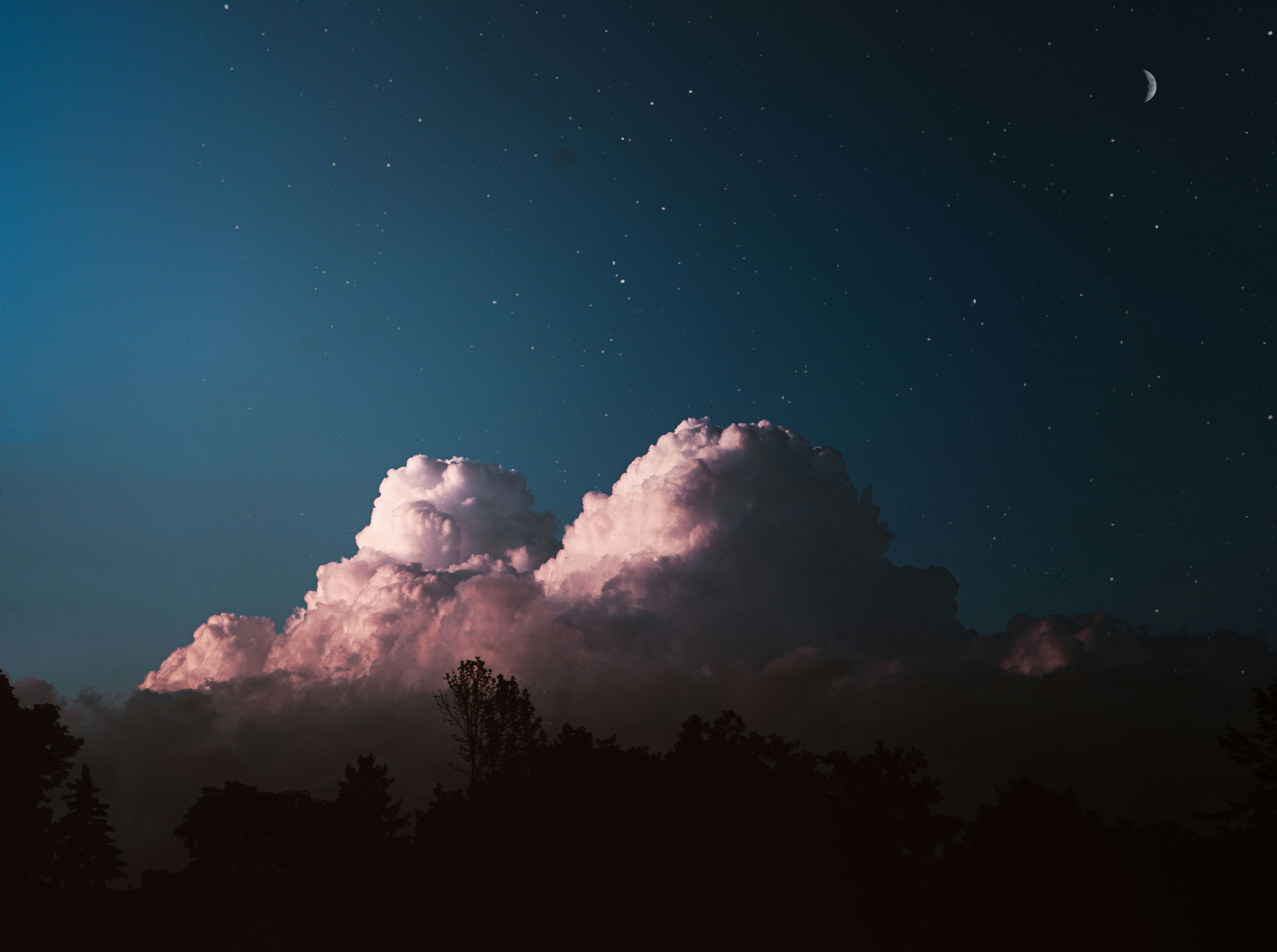 Pink-Crowned Cloud Over a Starry Night, Silhouetted Forest Edge