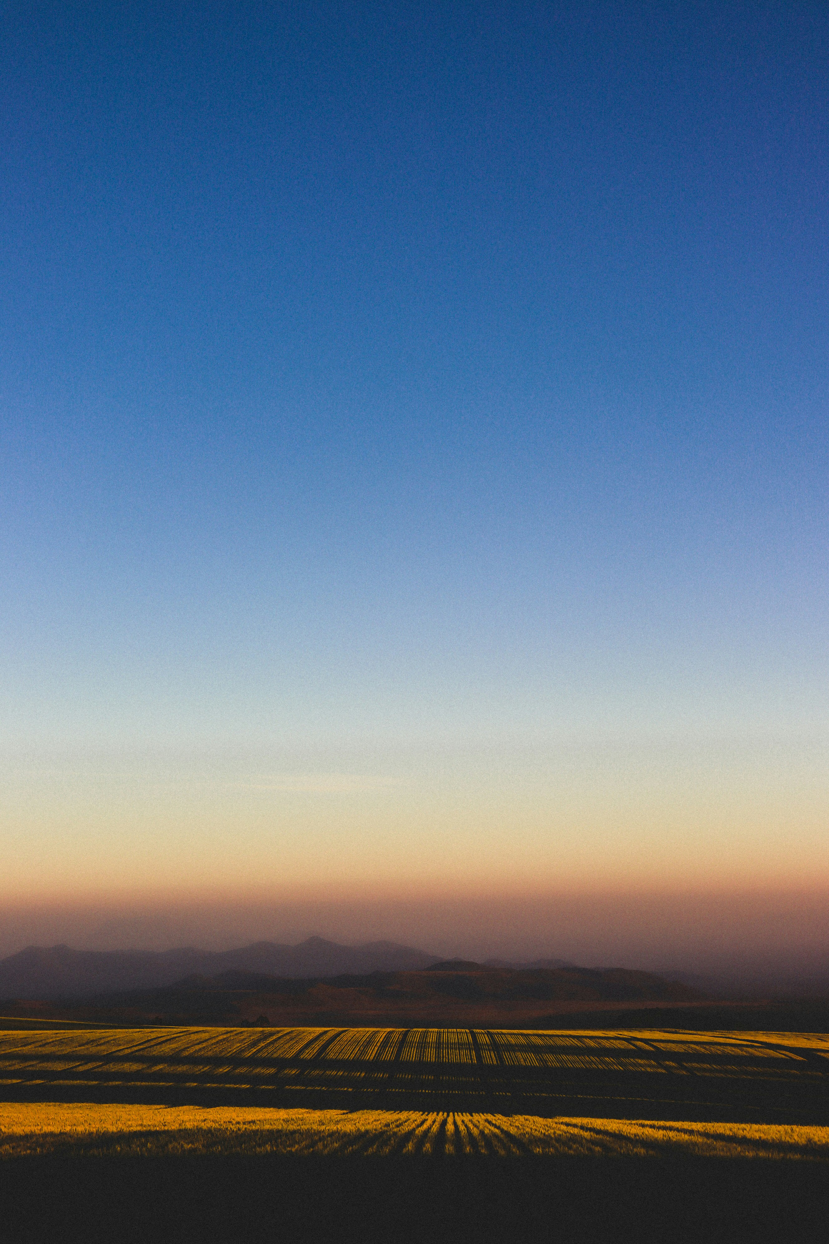A large field with a sky in the background photo – Free Kisima farm ...