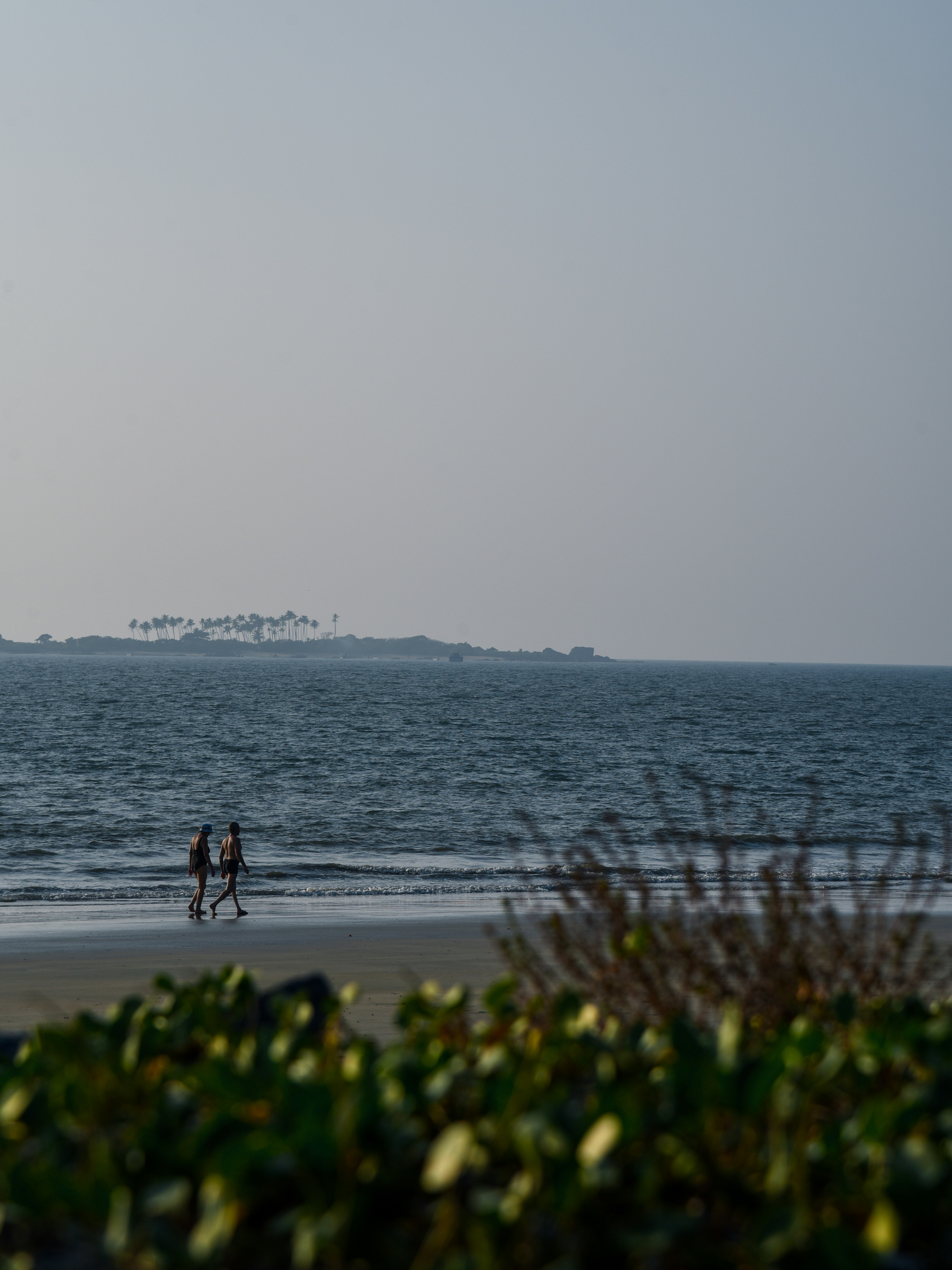 Distant Island on the Horizon: A Quiet Beach Stroll Framed by Greens