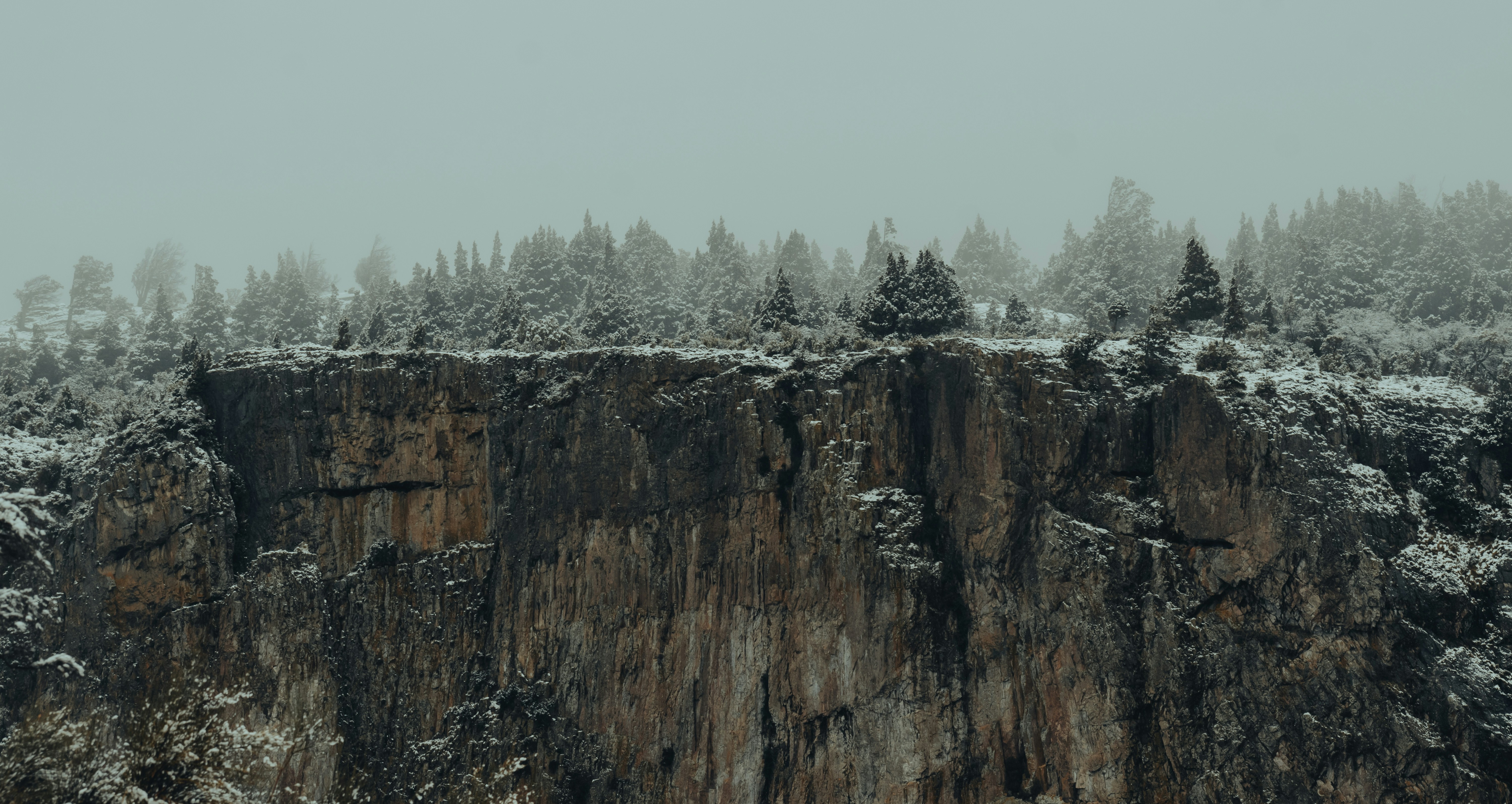 Snow-covered cliff with evergreen trees standing resilient against a foggy backdrop. The rugged rock face contrasts with the delicate snow, creating a serene winter landscape.
