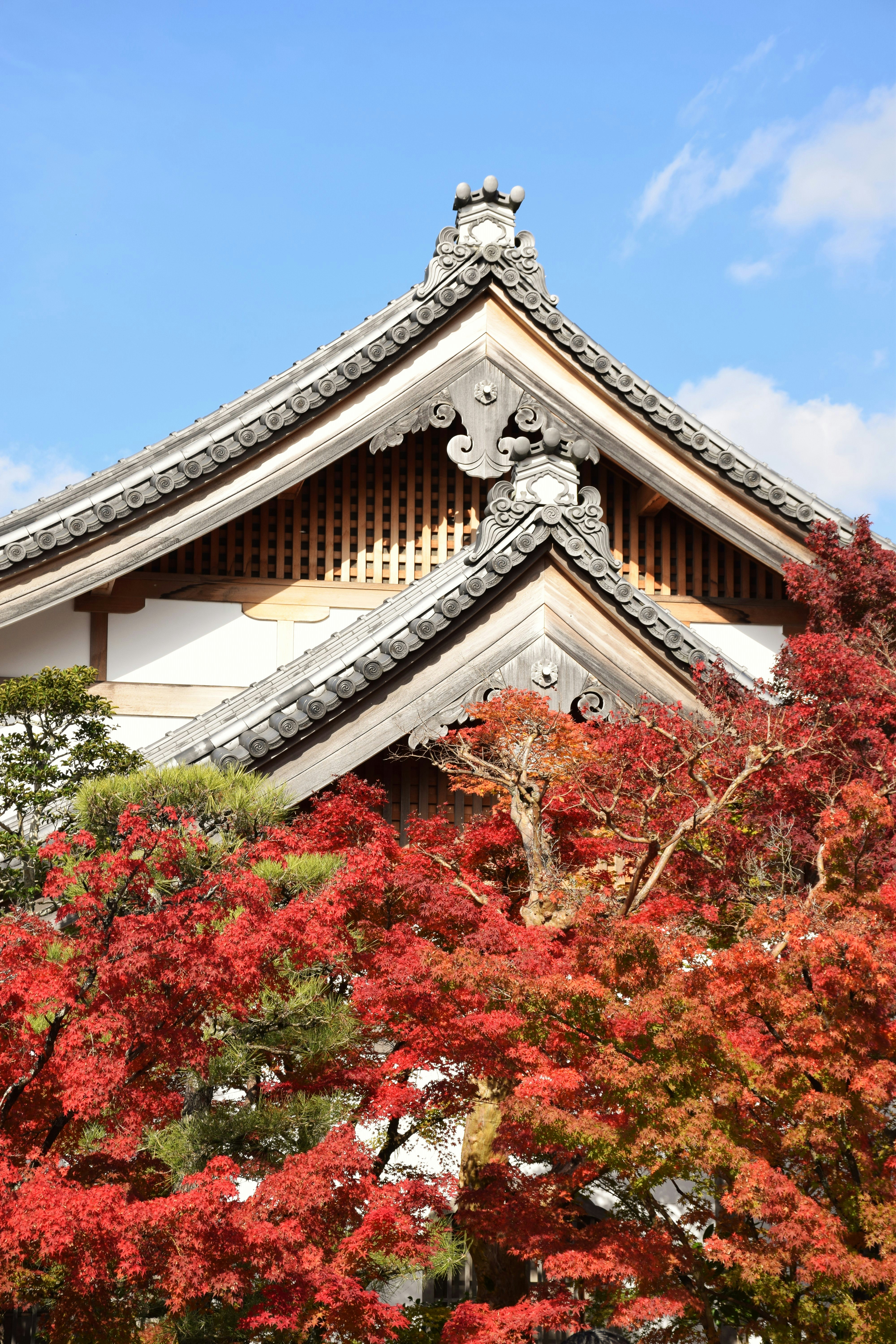 Traditional Japanese architecture framed by vibrant autumn foliage, showcasing intricate roof details against a clear blue sky.