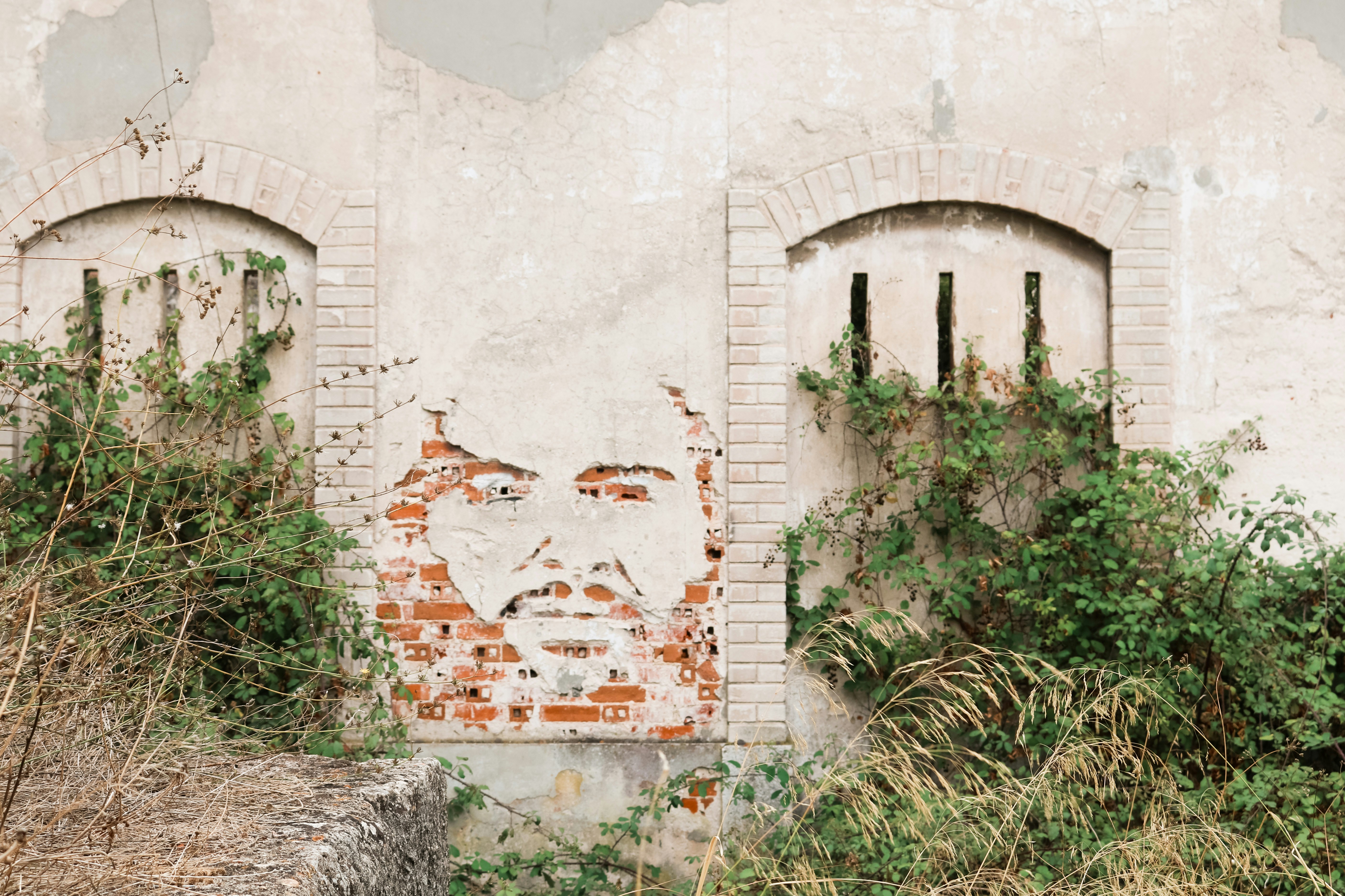 Faded Graffiti Portrait Framed by Arches and Vines on a Weathered Wall