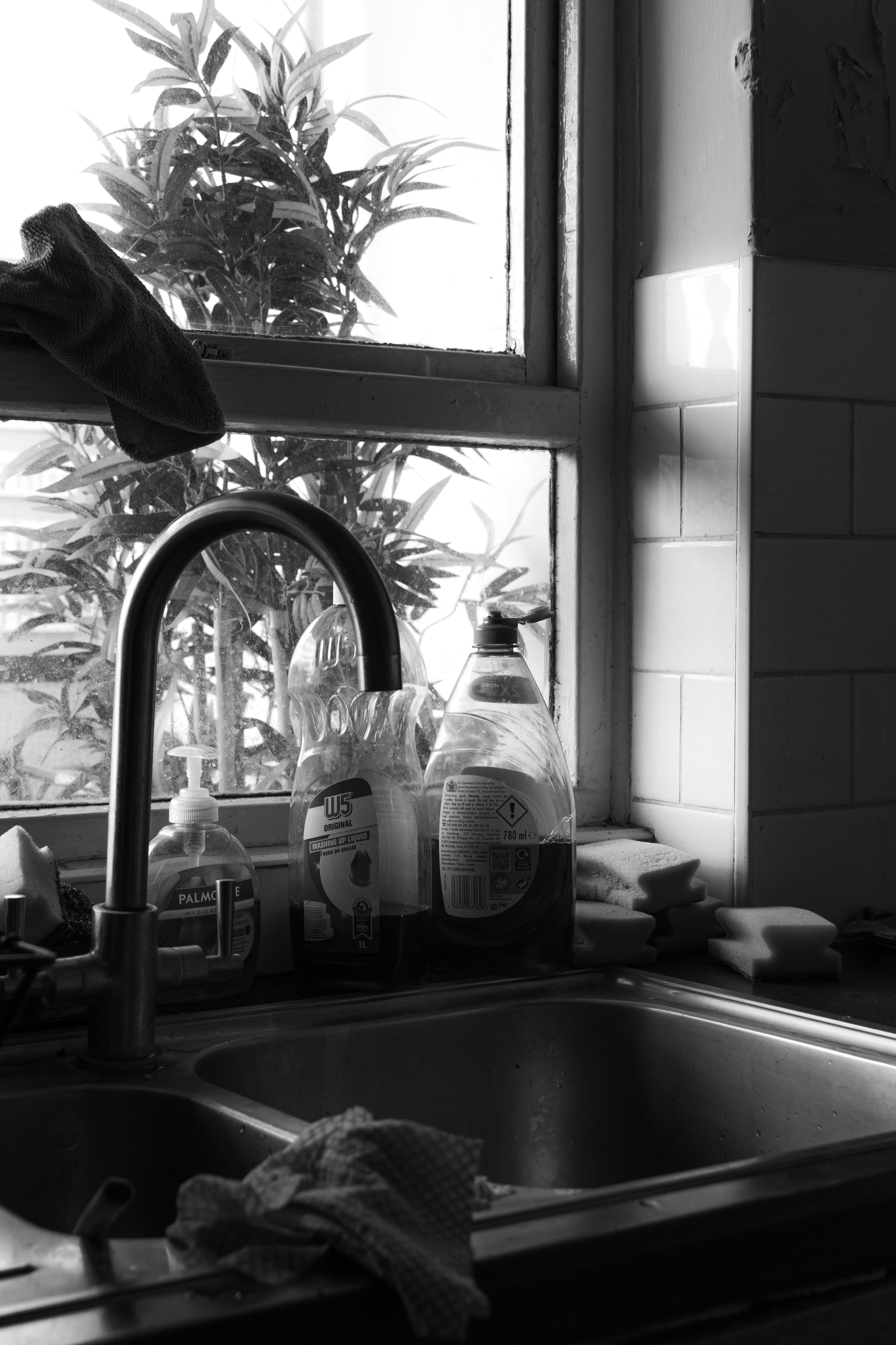 Monochrome Window Sink Portrait: The Curved Faucet and Bottle Cluster in Quiet Light