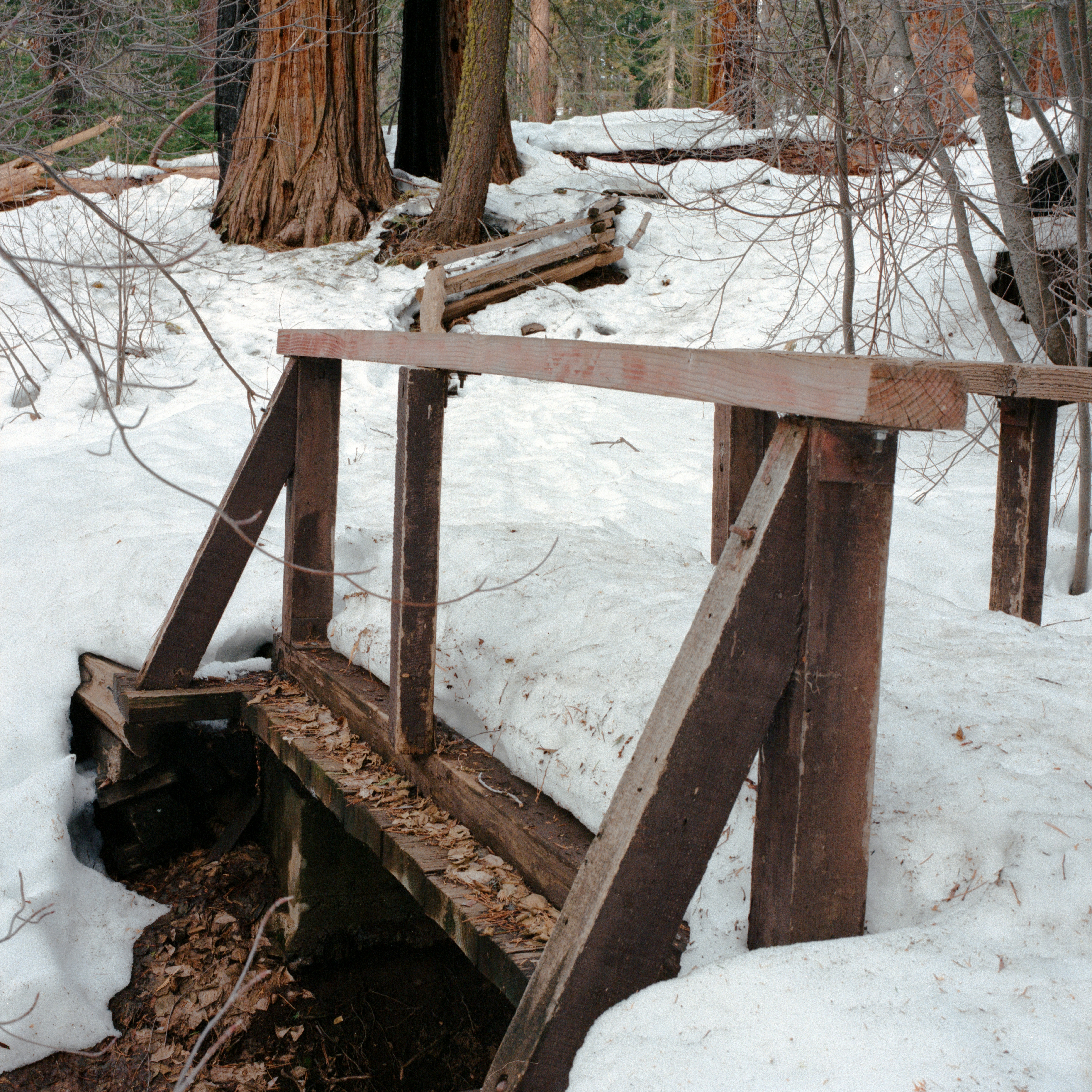 a wooden bridge in the middle of a snowy forest