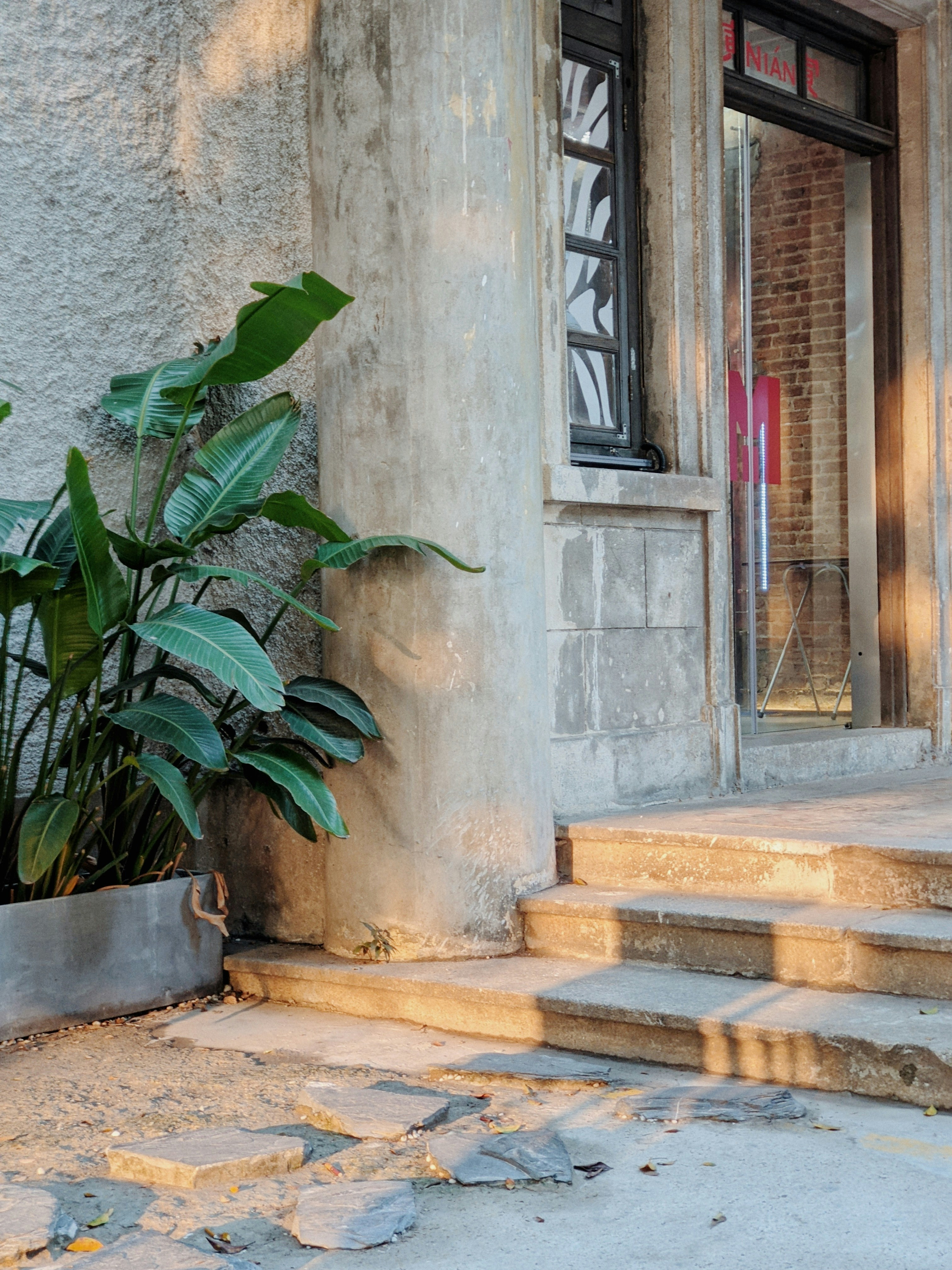 Une plante en pot assise sur le côté d’un bâtiment photo – Photo Gris ...