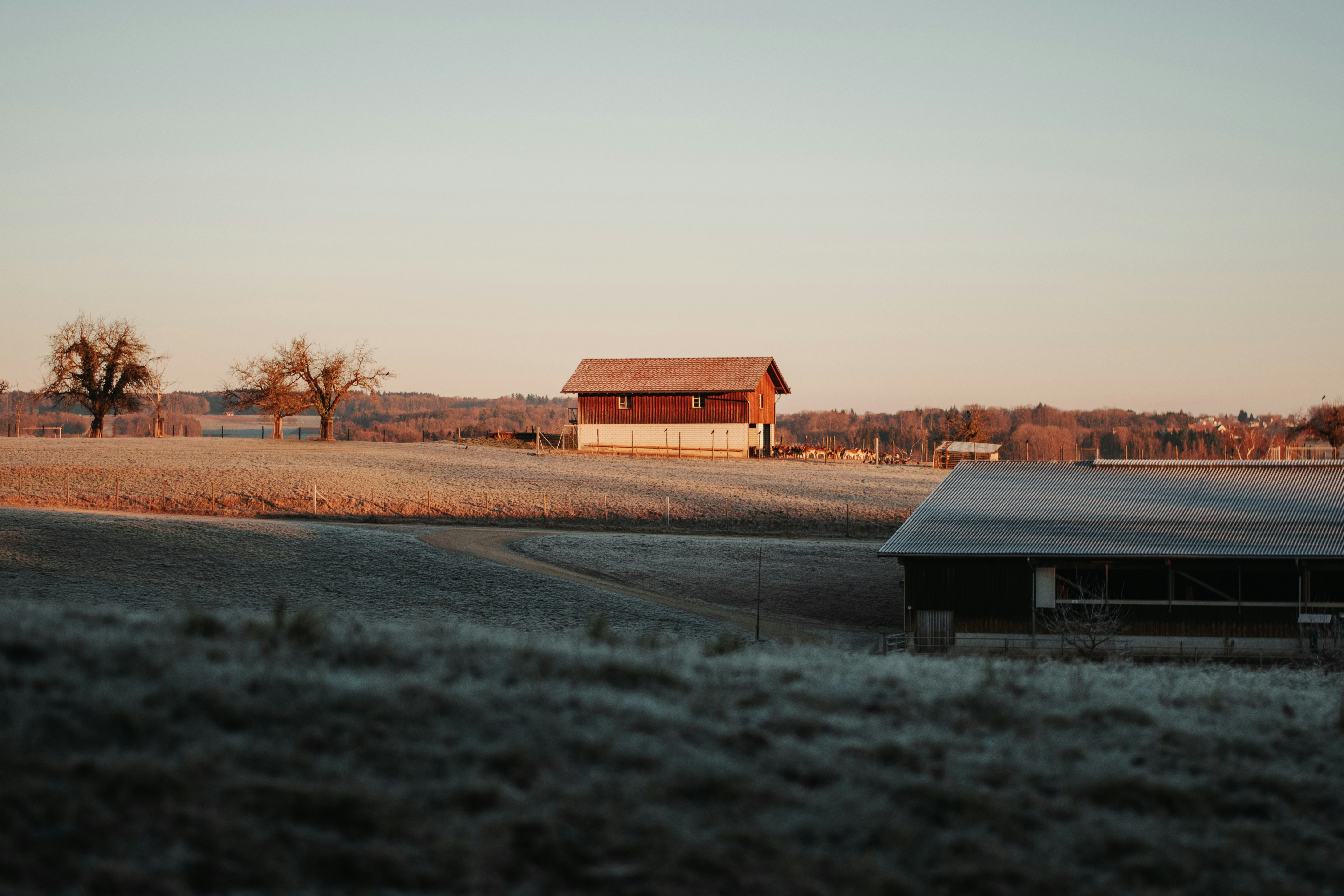 A rustic barn stands solitary against a soft morning light, surrounded by frost-kissed fields and distant trees.