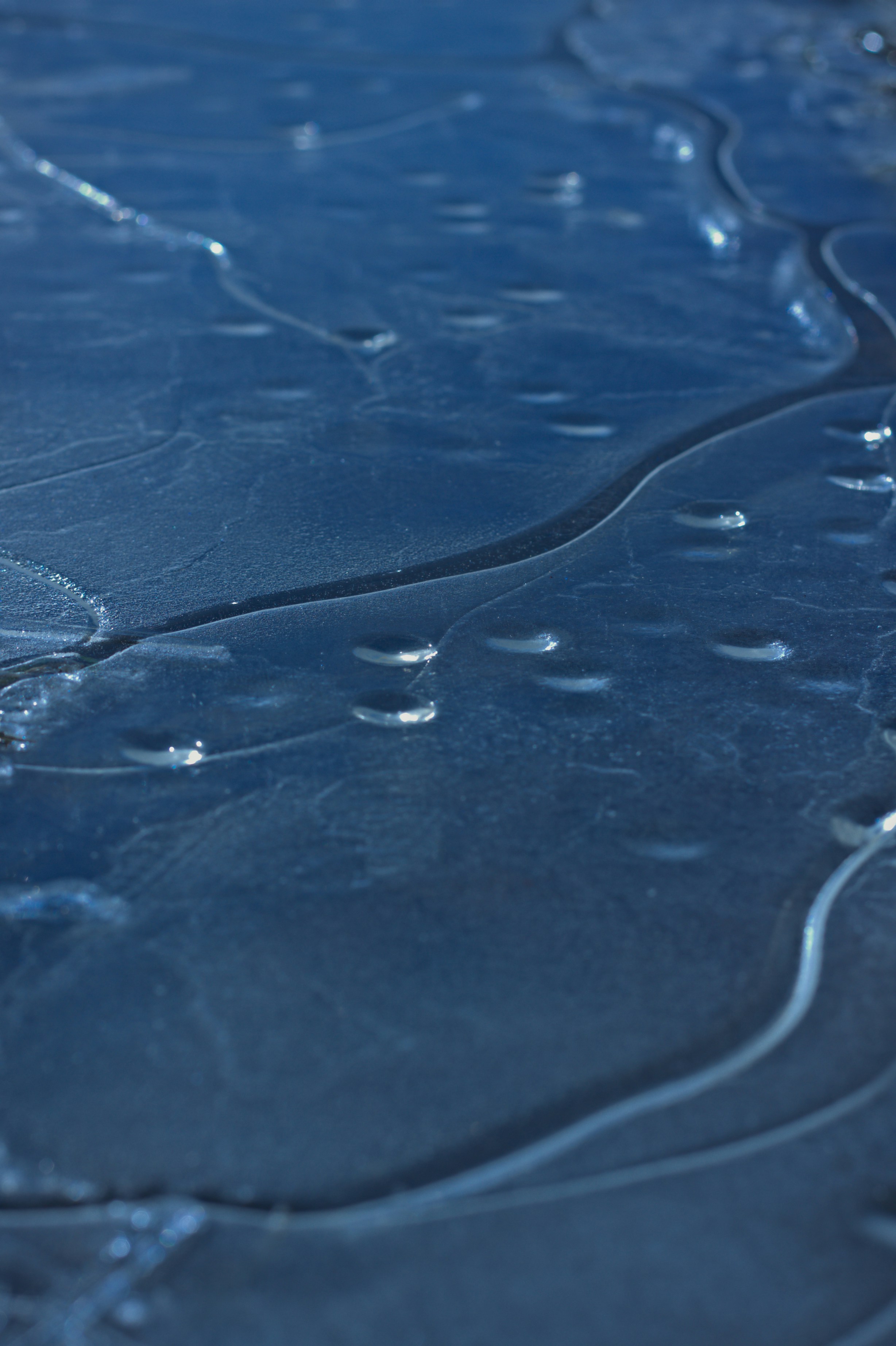 A close up of water with small drops of water on it photo – Free ...