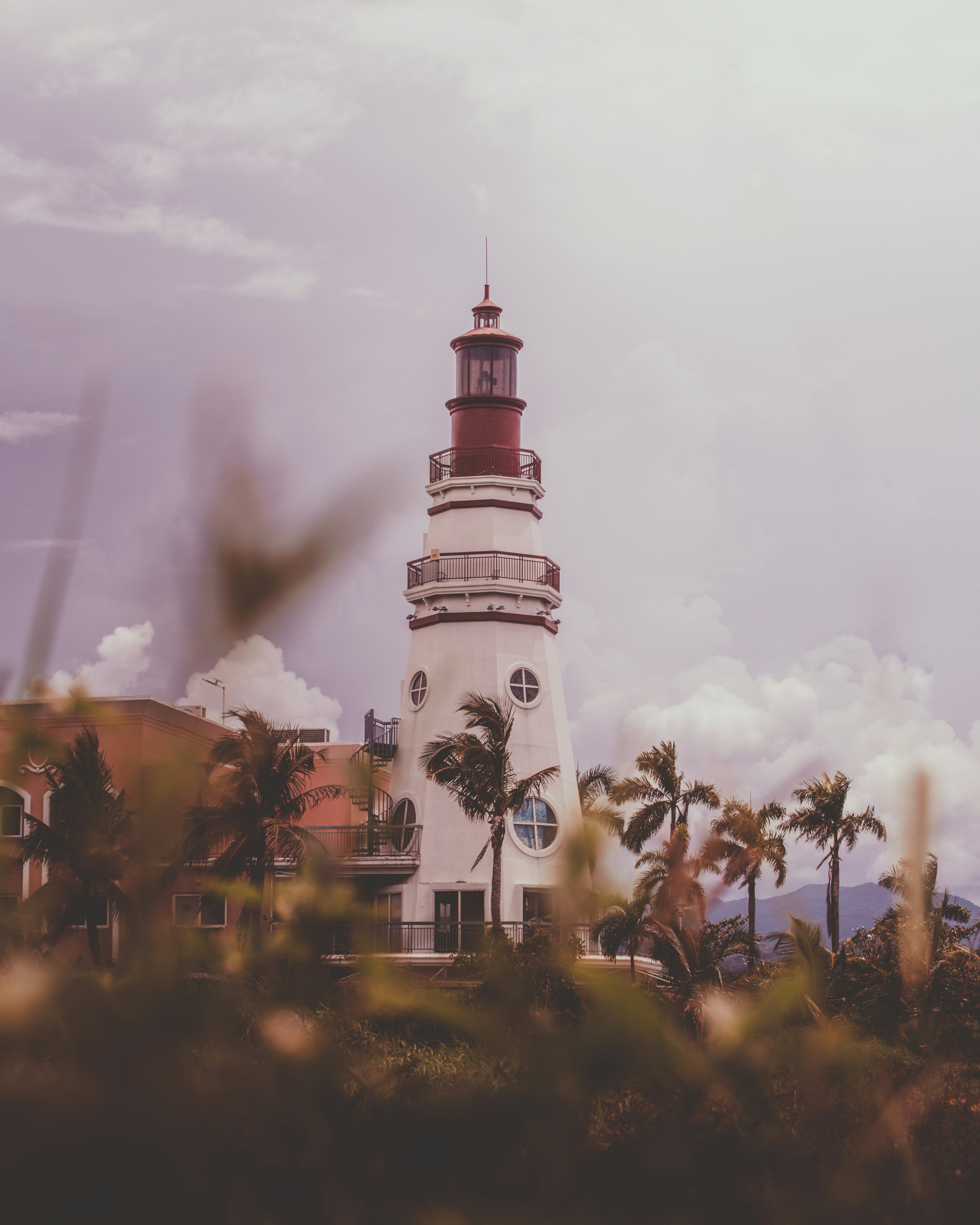 Guiding Light Amidst Tropical Serenity