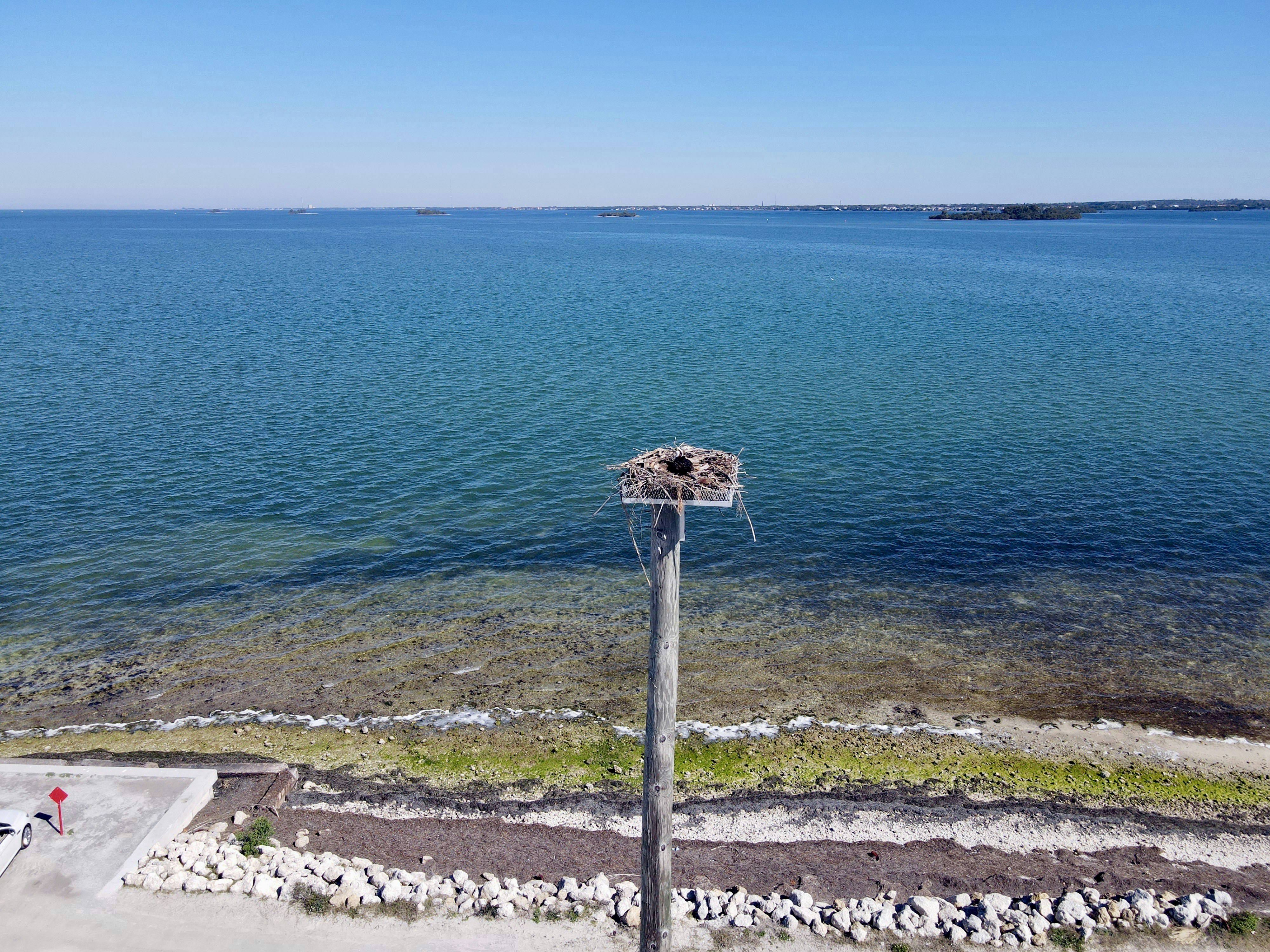 Nest on a Weathered Post Over a Tranquil Turquoise Sea